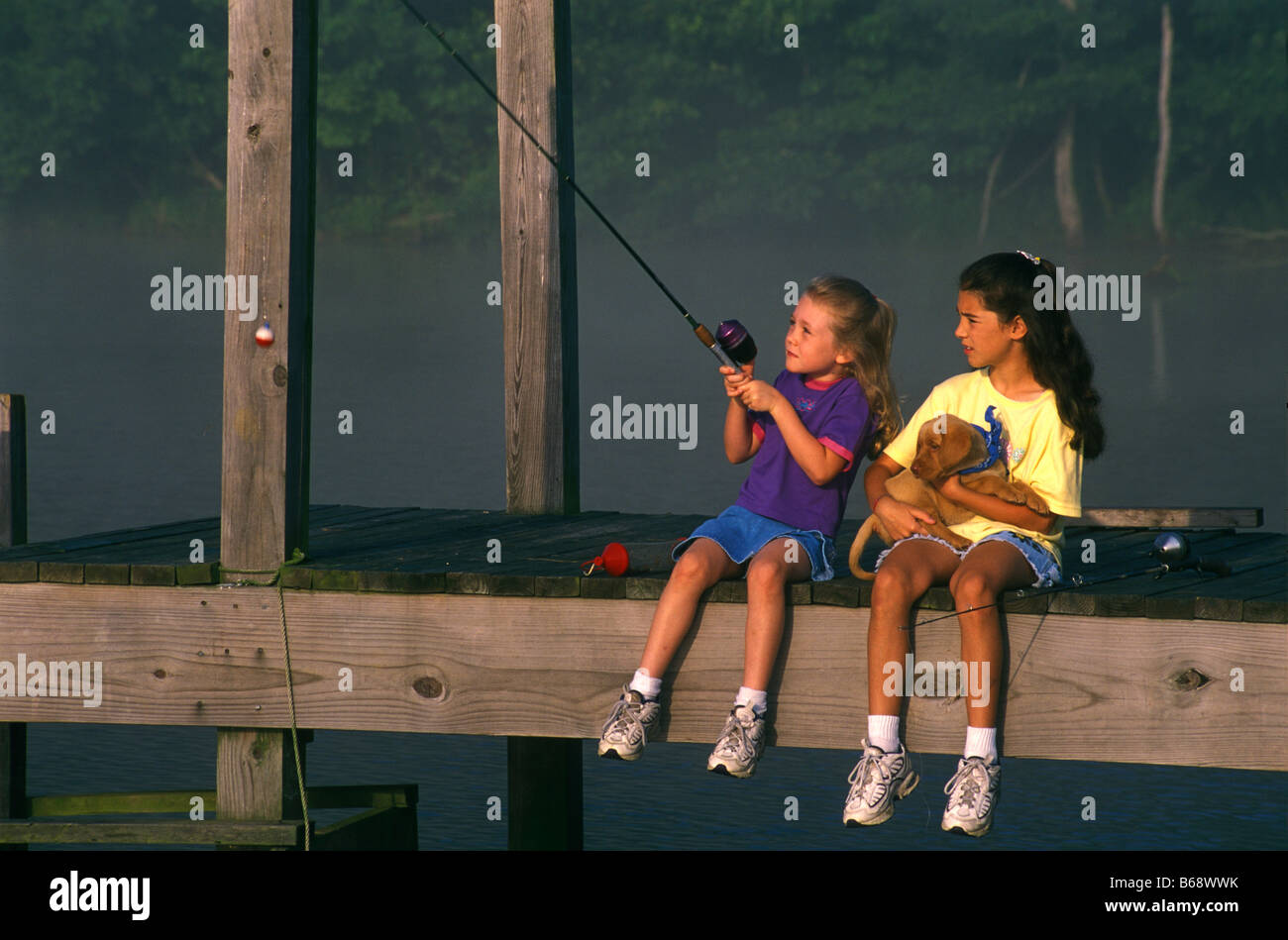 Labrador fishing dog hi-res stock photography and images - Alamy
