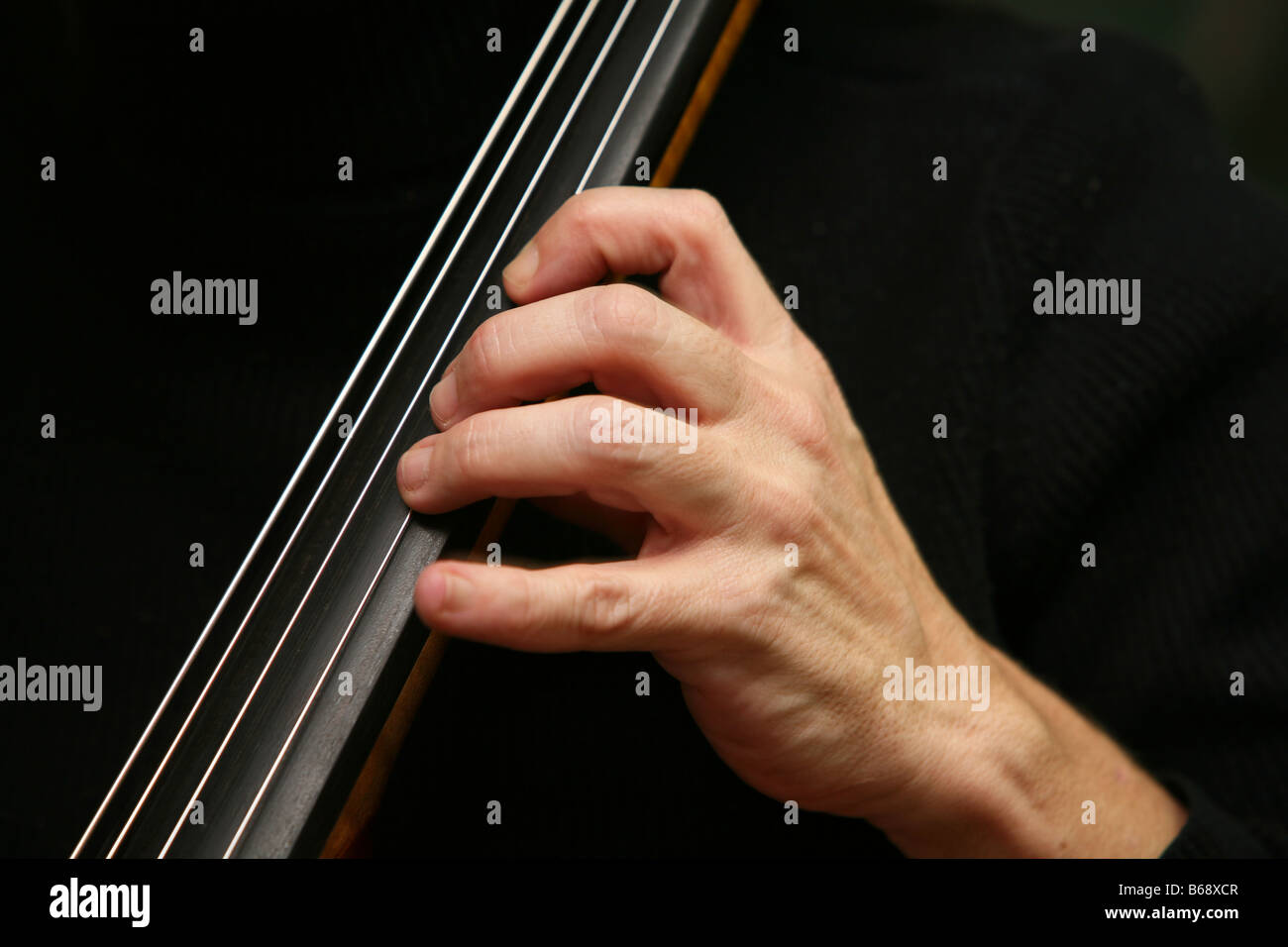 Cellist playing notes Stock Photo - Alamy