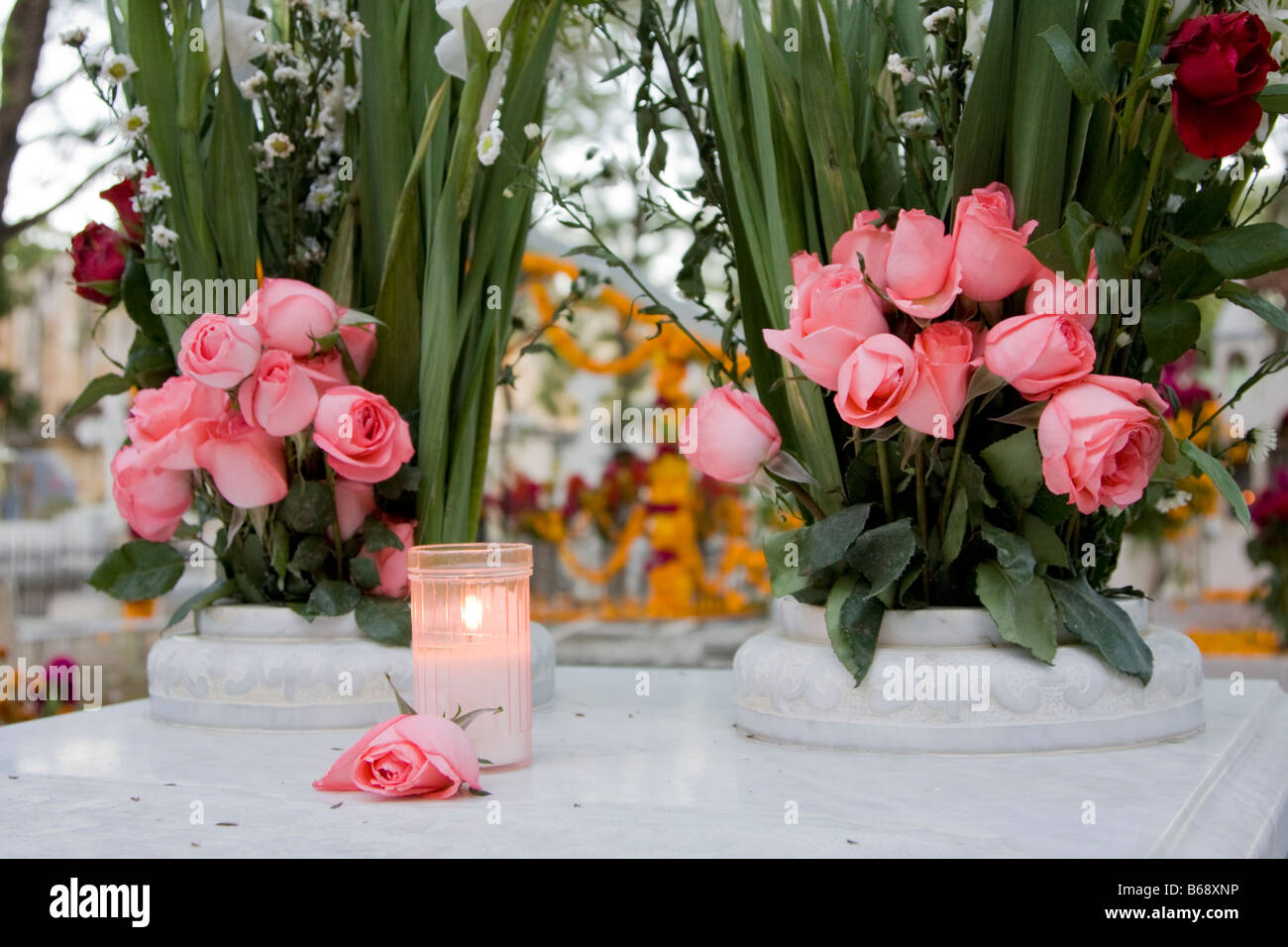 Oaxaca, Mexico. Day of the Dead. Roses Decorating a Grave, San Miguel ...