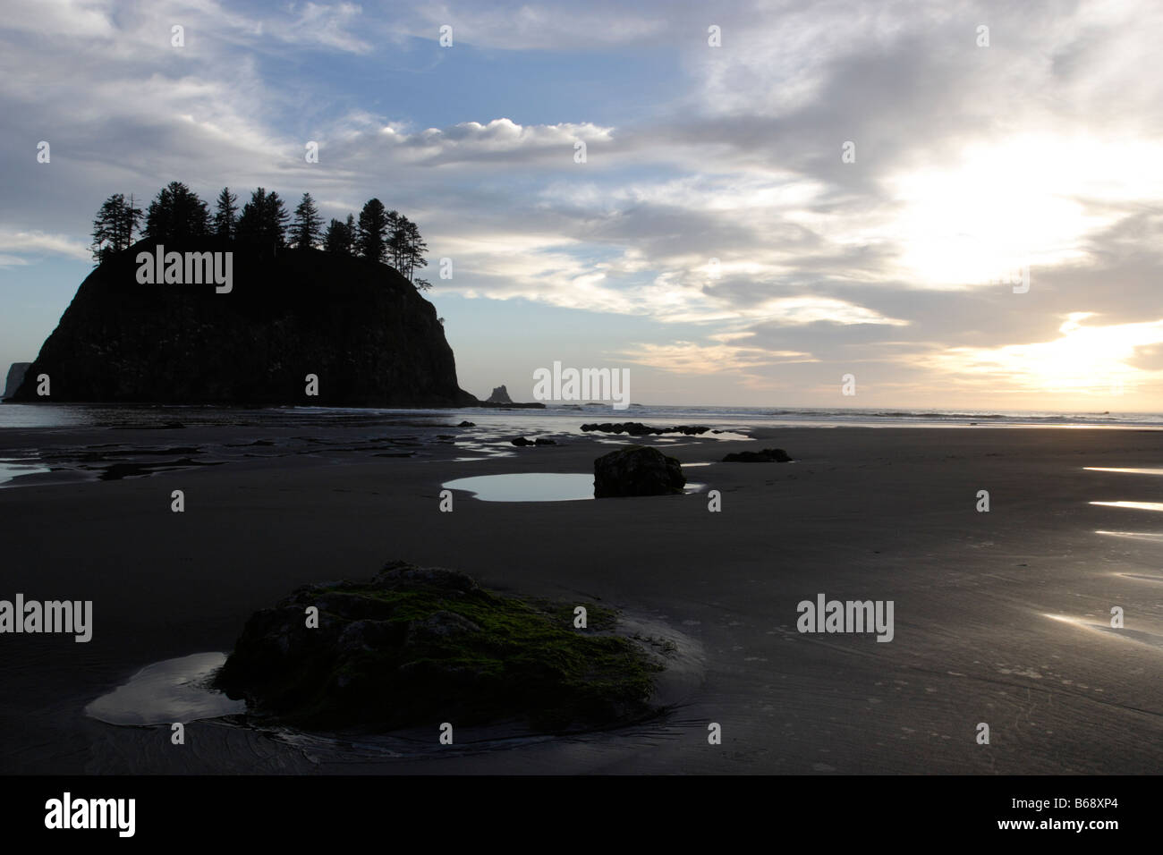 Beach in olympic national park birds hi-res stock photography and ...