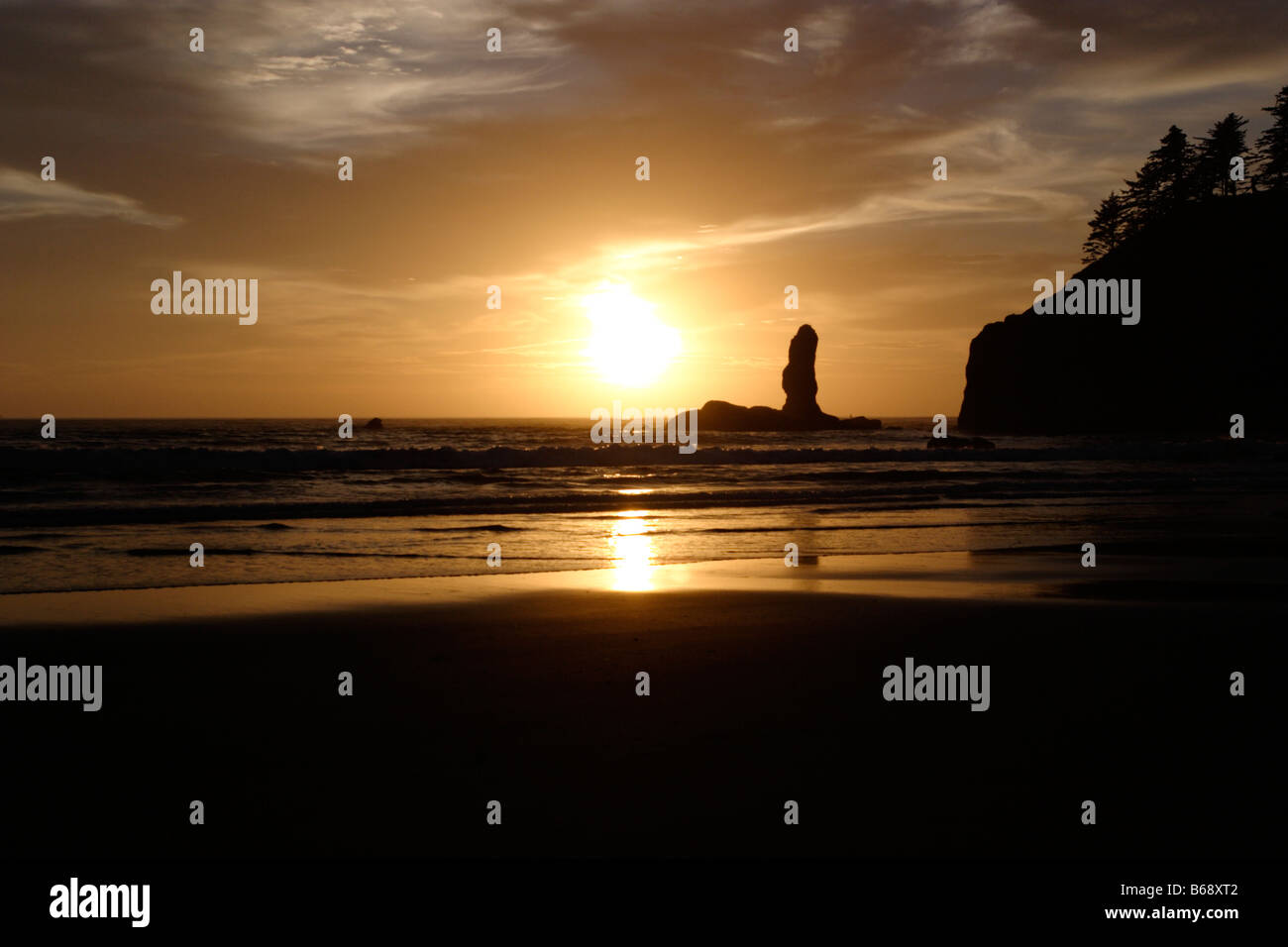 Beach in olympic national park birds hi-res stock photography and ...