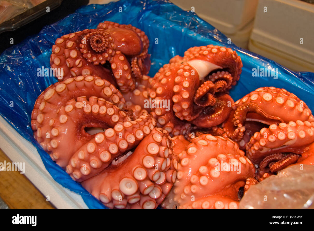 Octopus at Tsukiji shijo fish seafood market in Tokyo Japan Stock Photo ...