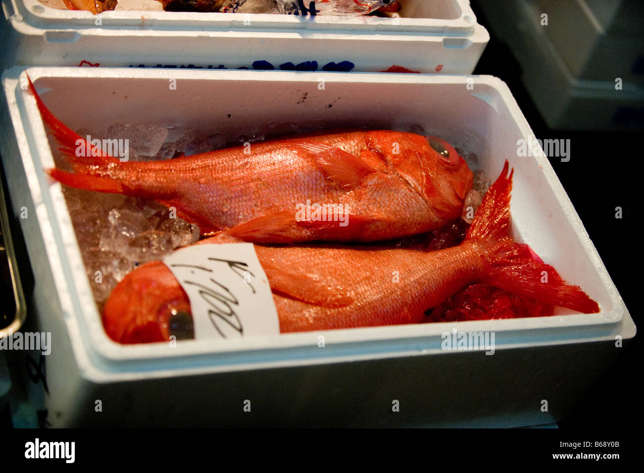 Red snapper fish in an ice box at The Tsukiji Fish Market in Tokyo ...