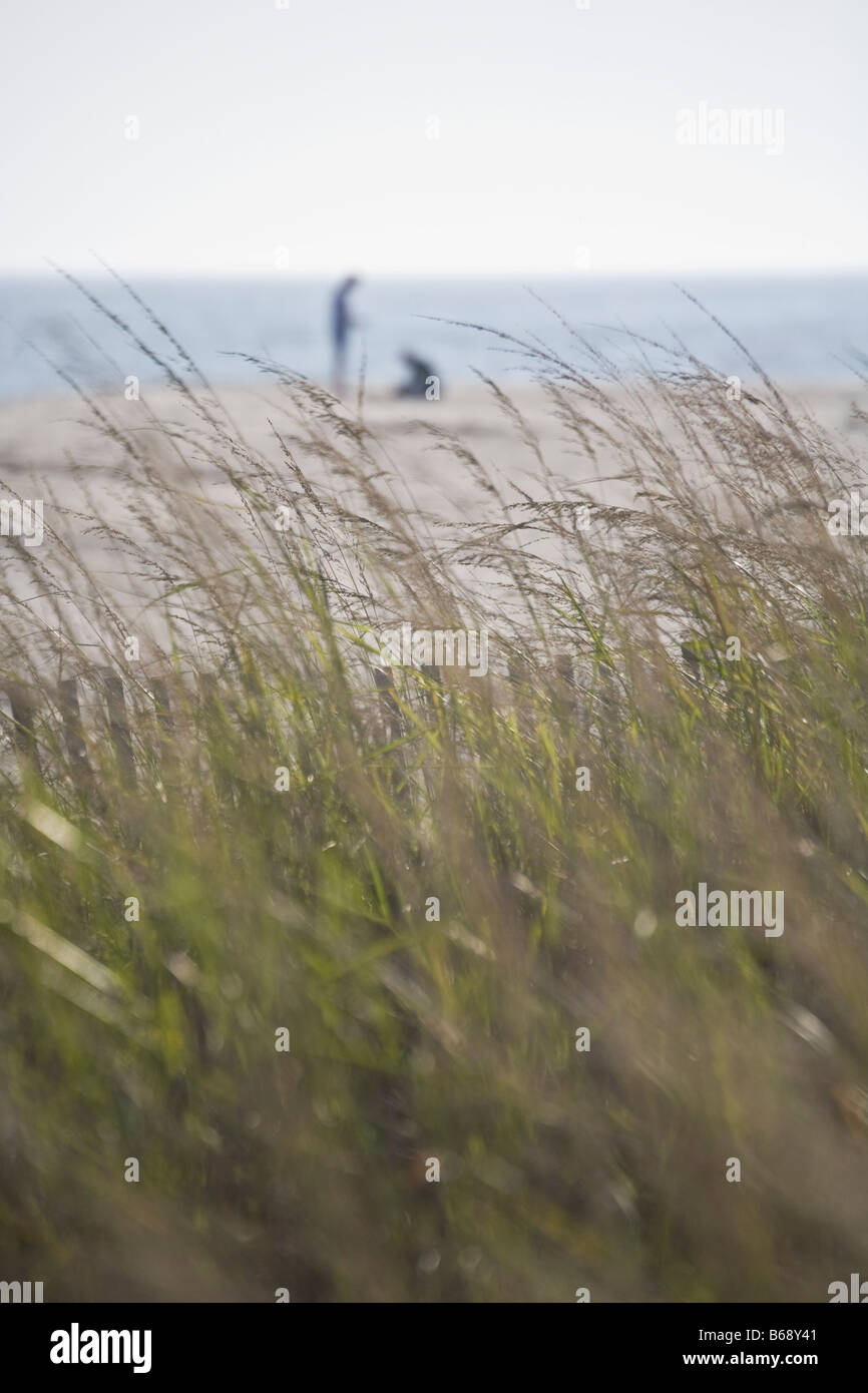 Couple beachcombing hi-res stock photography and images - Alamy