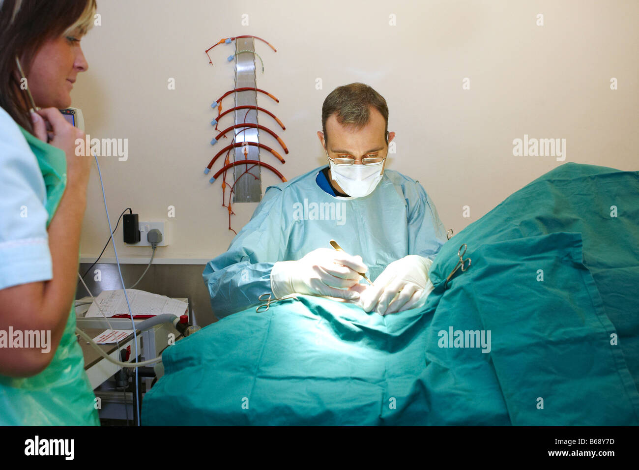 Operating Theater with Veterinarian Stock Photo - Alamy