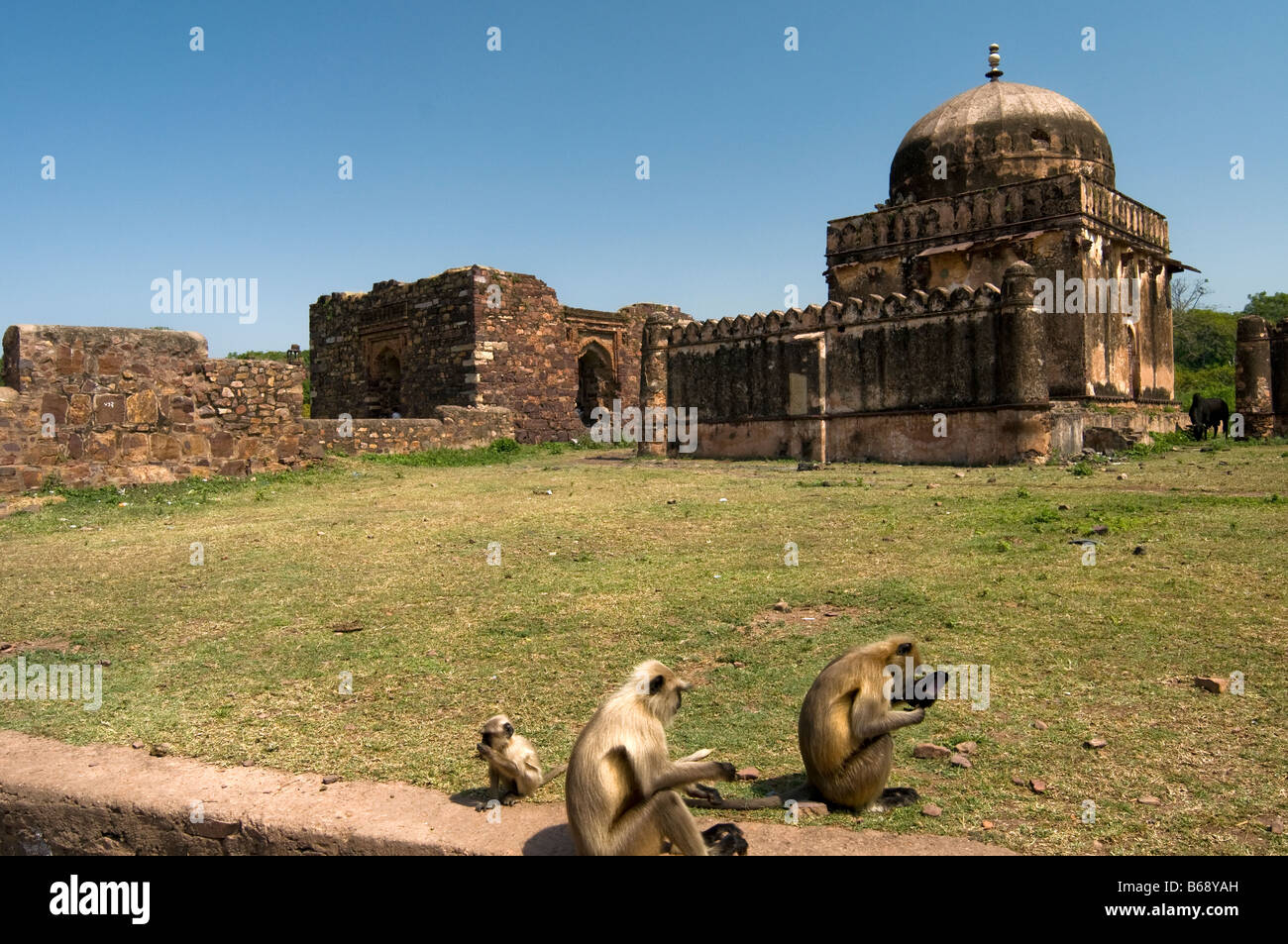 Ranthambore fort. Ranthambore National Park. Rajasthan. India Stock ...