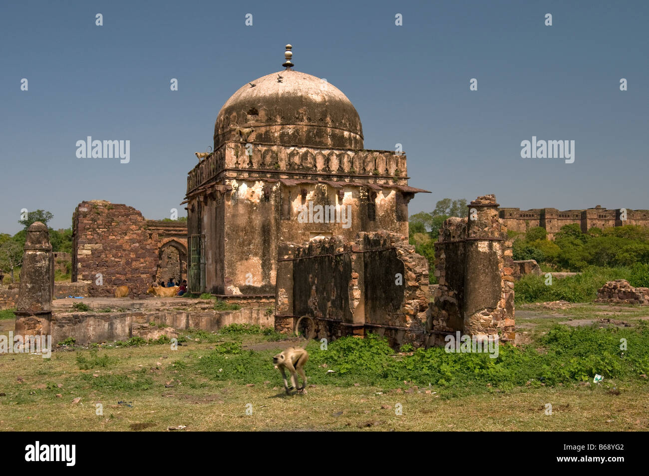 Ranthambore fort. Ranthambore National Park. Rajasthan. India Stock ...