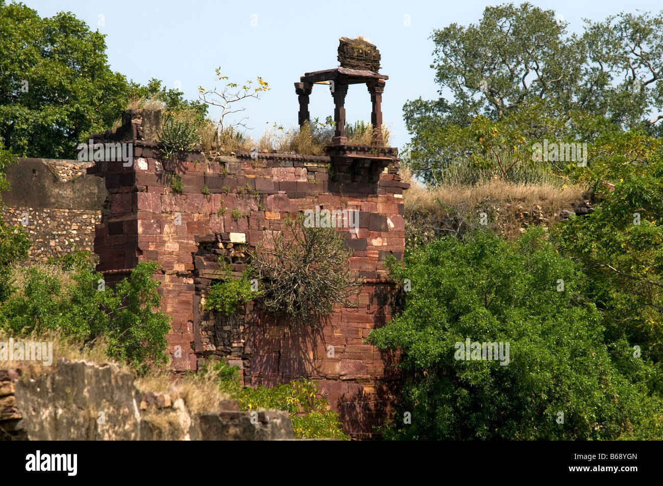 Ranthambore fort. Ranthambore National Park. Rajasthan. India Stock ...