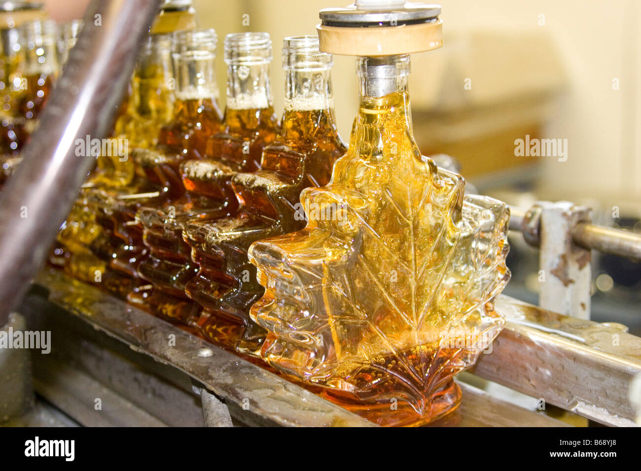 Maple Syrup Into Alcohol at Luis Silva blog