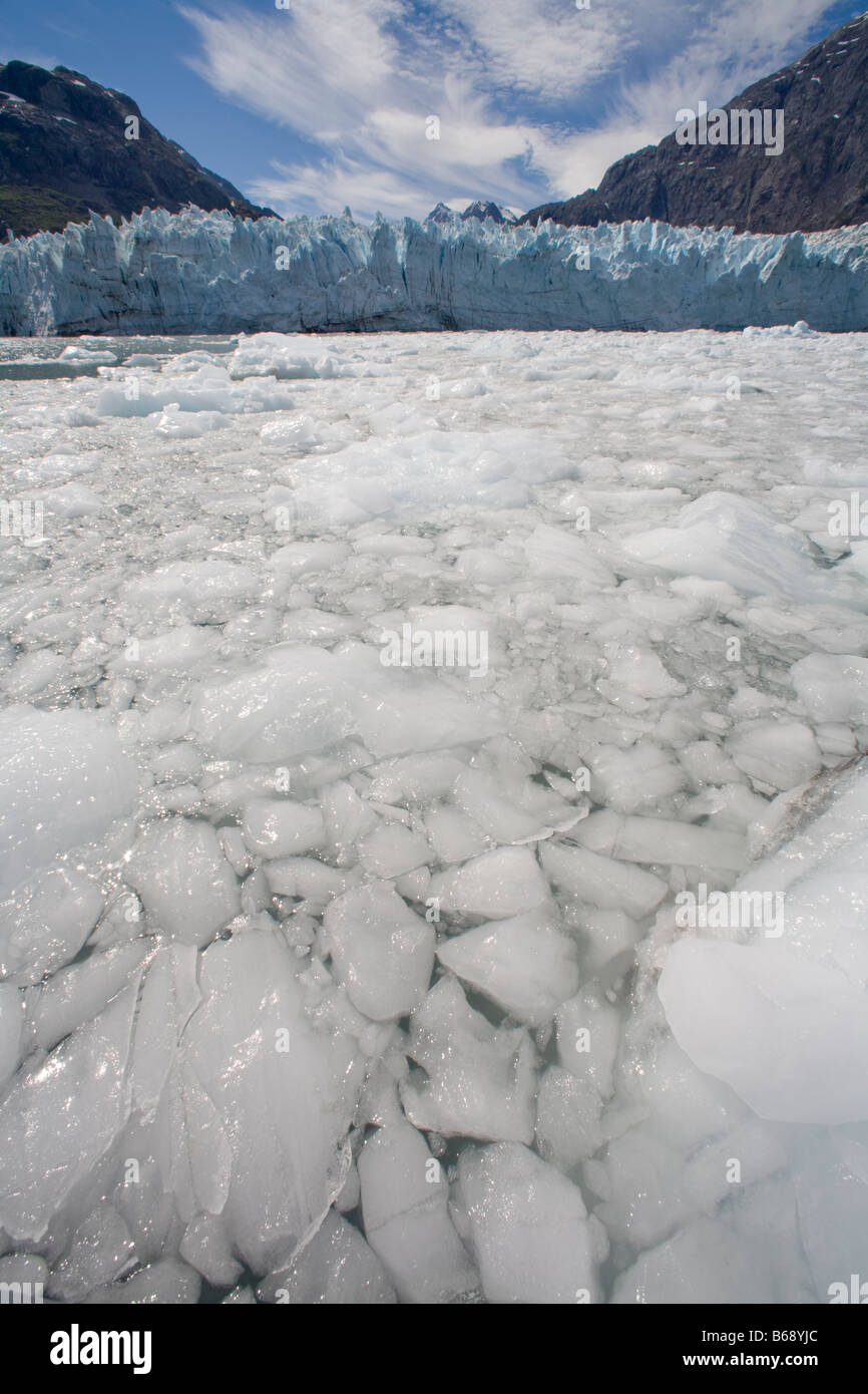 USA Alaska Glacier Bay National Park Icebergs floating near blue ice ...