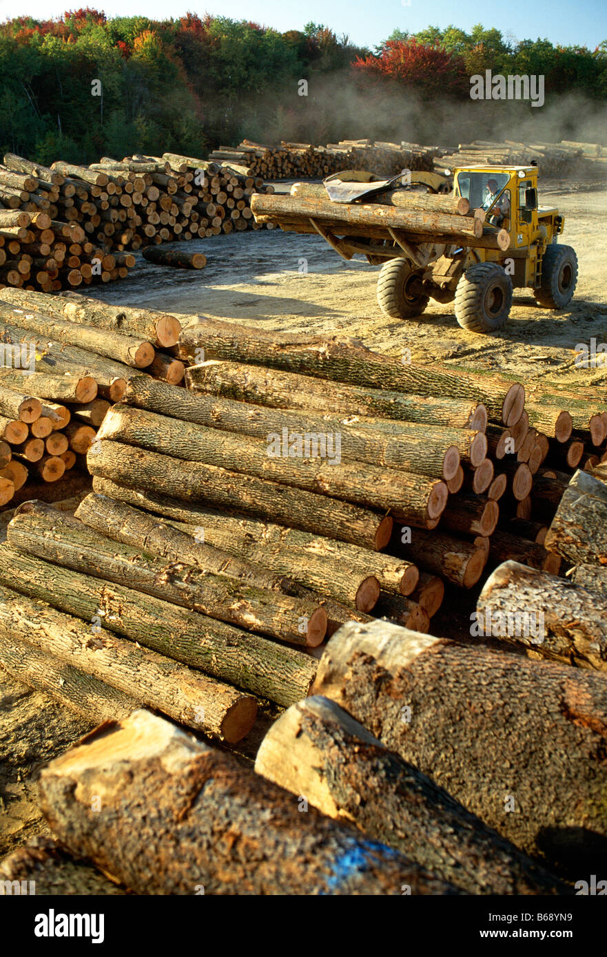 Front end loader hi-res stock photography and images - Alamy