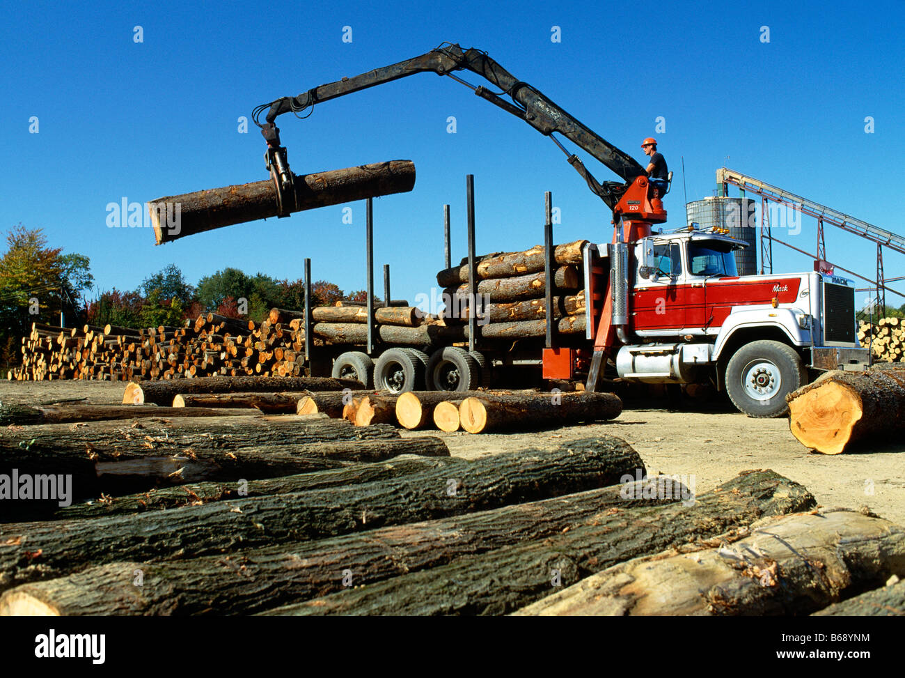Unloading log truck hi-res stock photography and images - Alamy