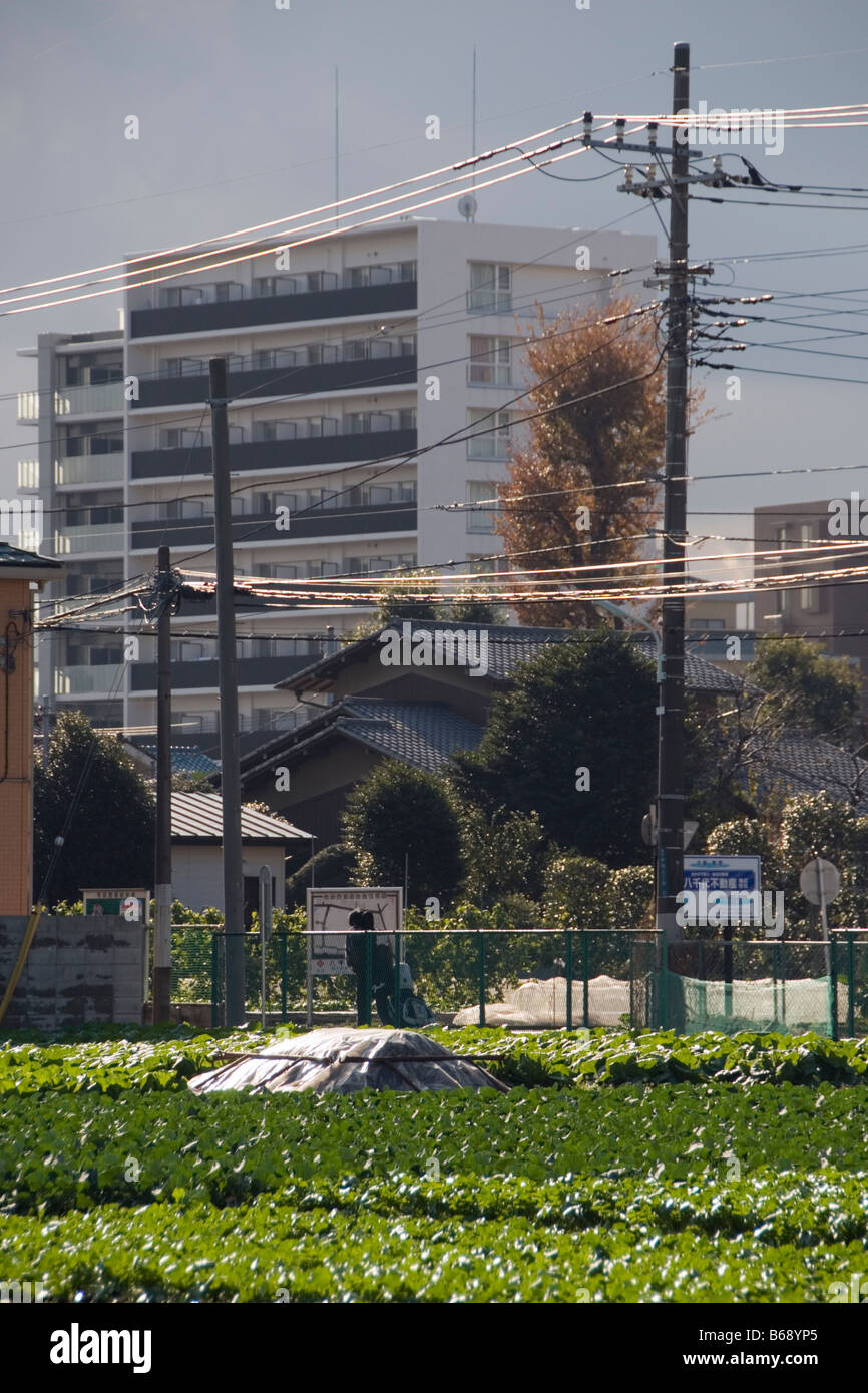 Urban farming japan hi-res stock photography and images - Alamy