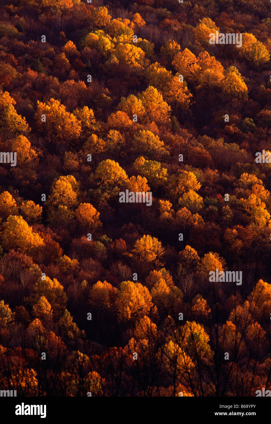Kittatinny mountain hi-res stock photography and images - Alamy