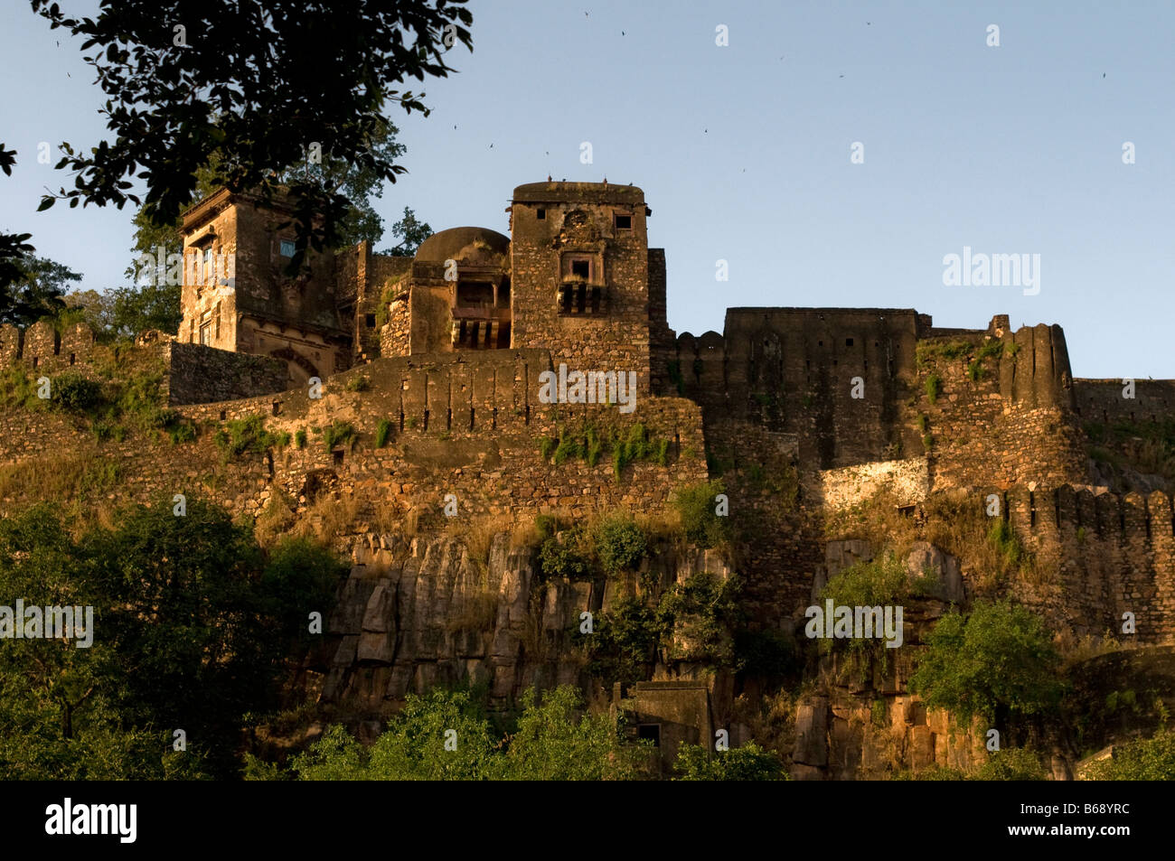 Jogi mahal ranthambore india hi-res stock photography and images - Alamy