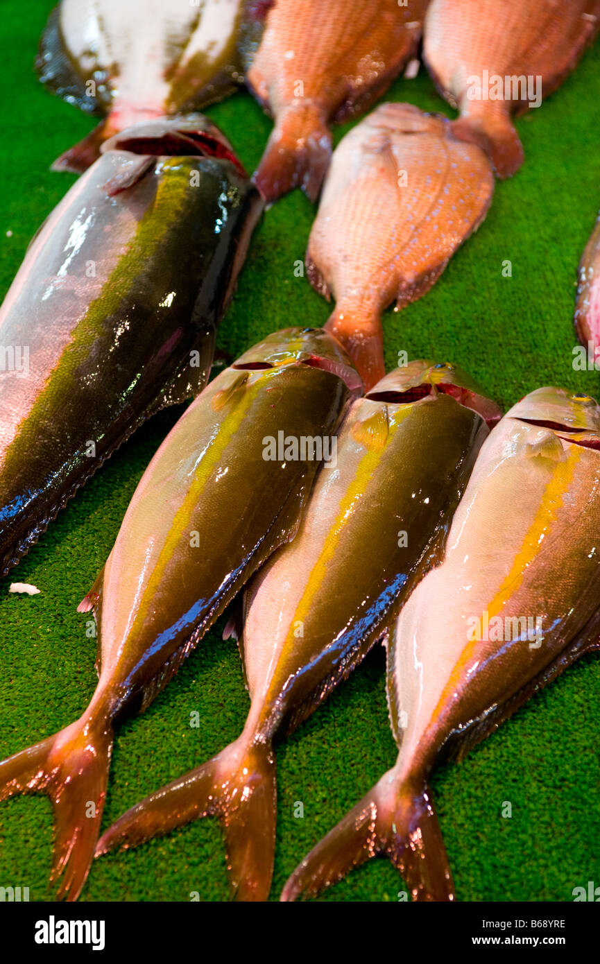 Row of fish at The Tsukiji Fish Market in Tokyo, Japan Stock Photo - Alamy