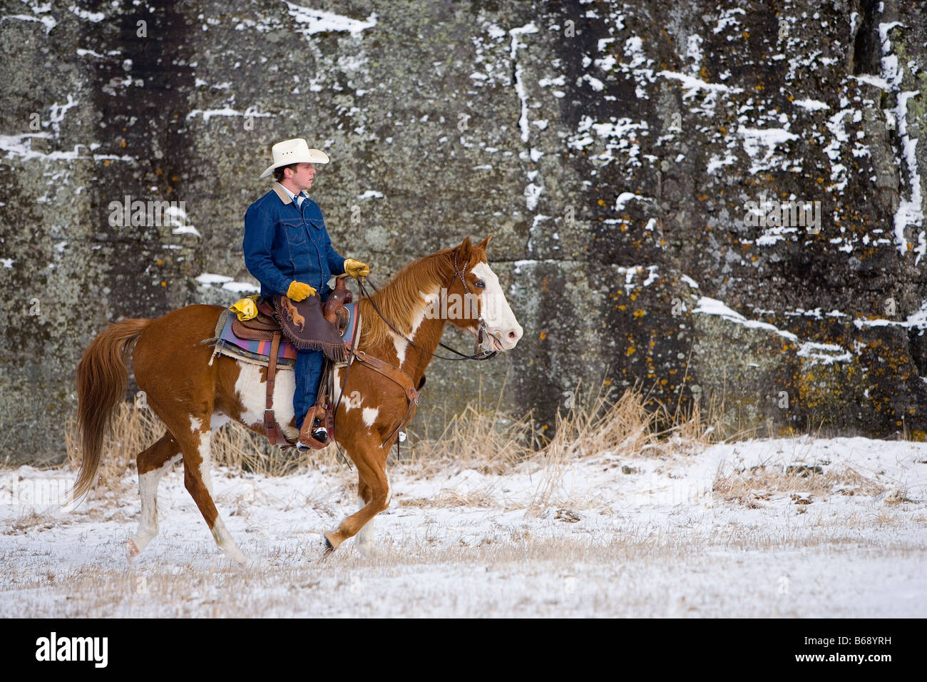Cowboy on horseback in the snow on a working ranch, Montana Stock Photo ...