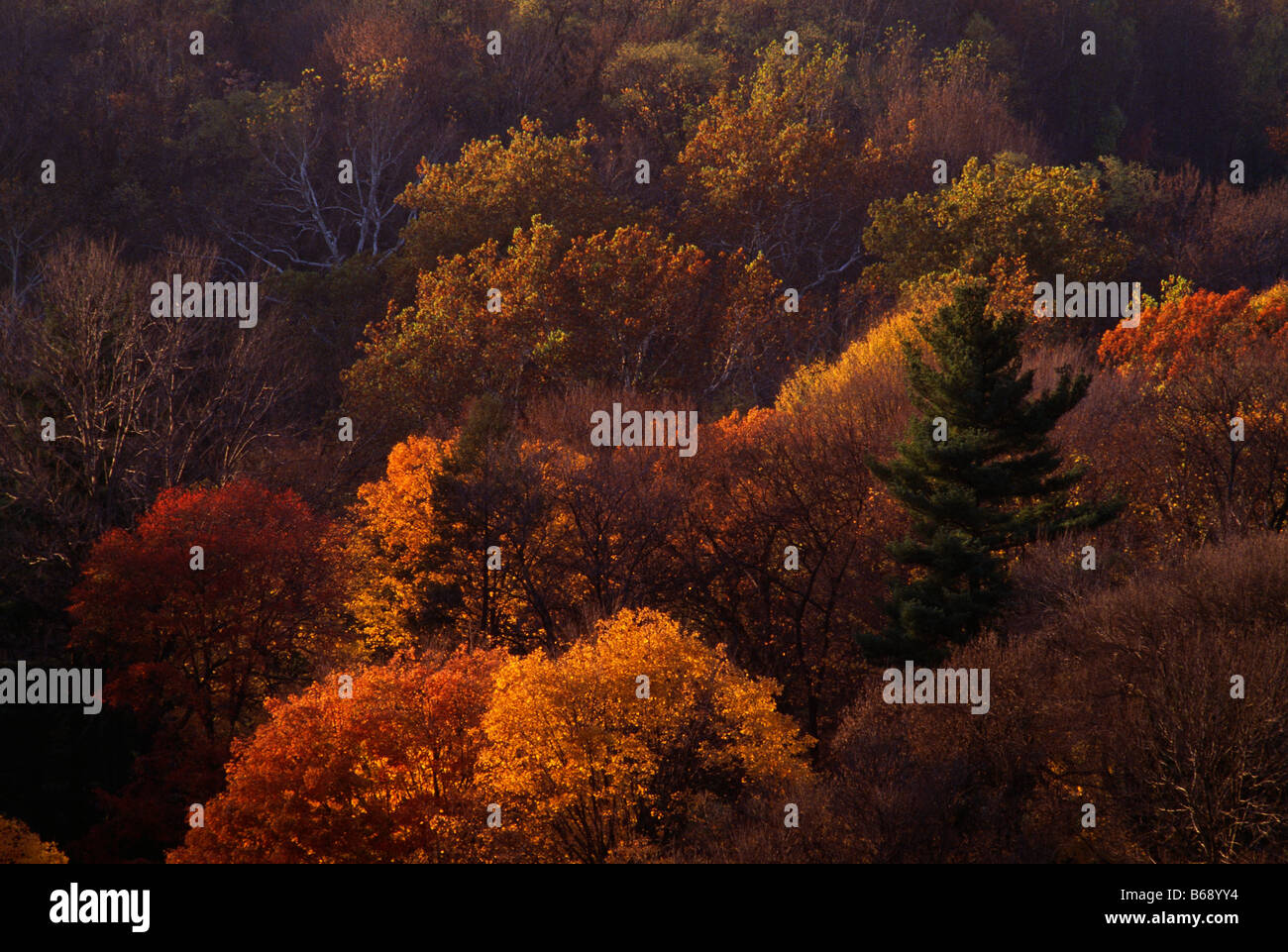 FALL COLORS IN AUTUMN FOLIAGE, VALLEY FORGE NATIONAL HISTORICAL PARK ...