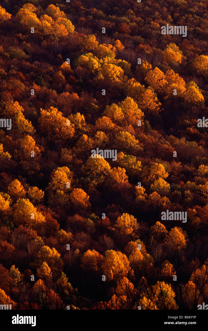 Kittatinny mountain hi-res stock photography and images - Alamy