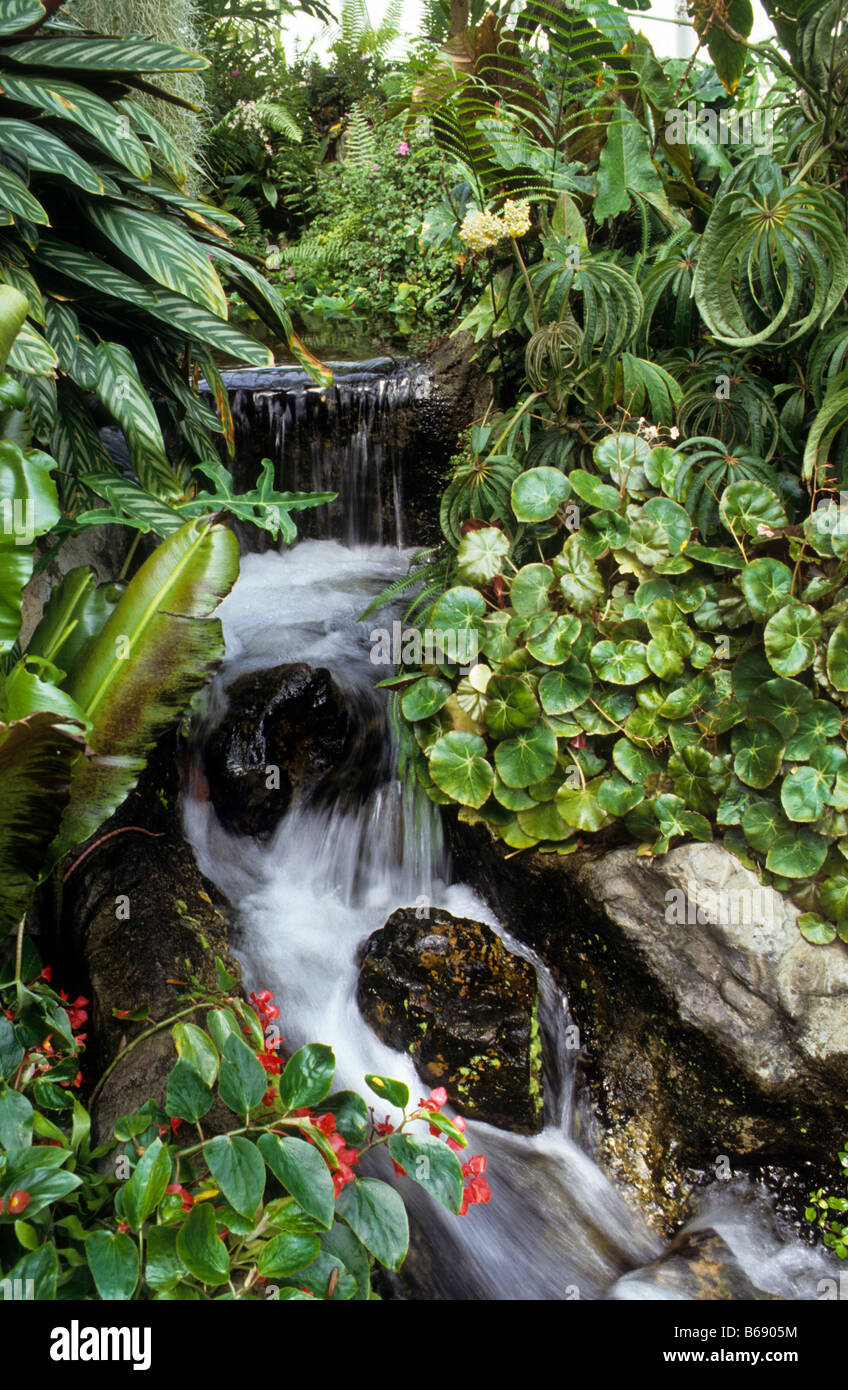 Waterfall flourish hi-res stock photography and images - Alamy
