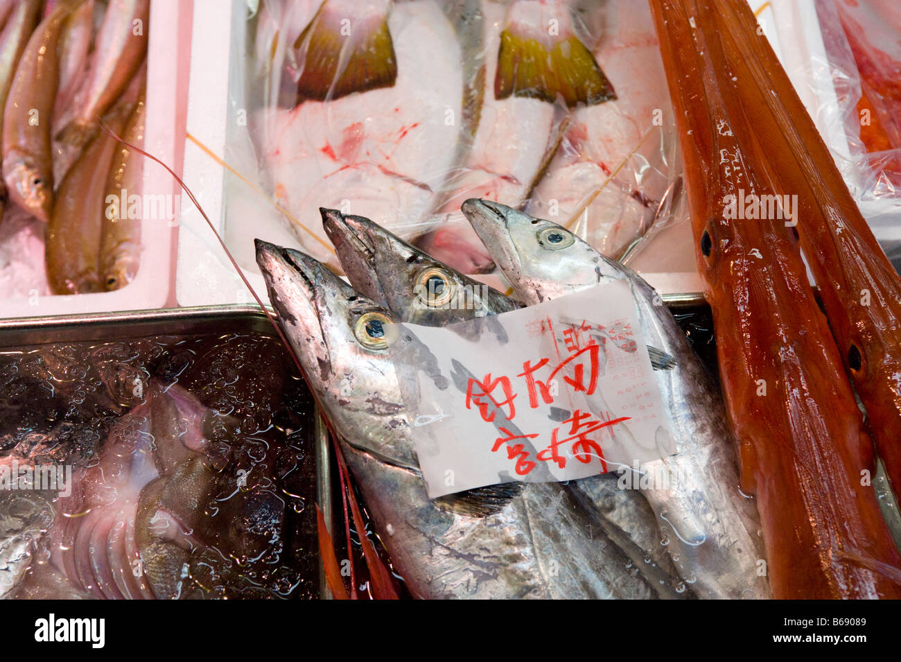Detail of boxes fish at The Tsukiji Fish Market in Tokyo, Japan Stock ...