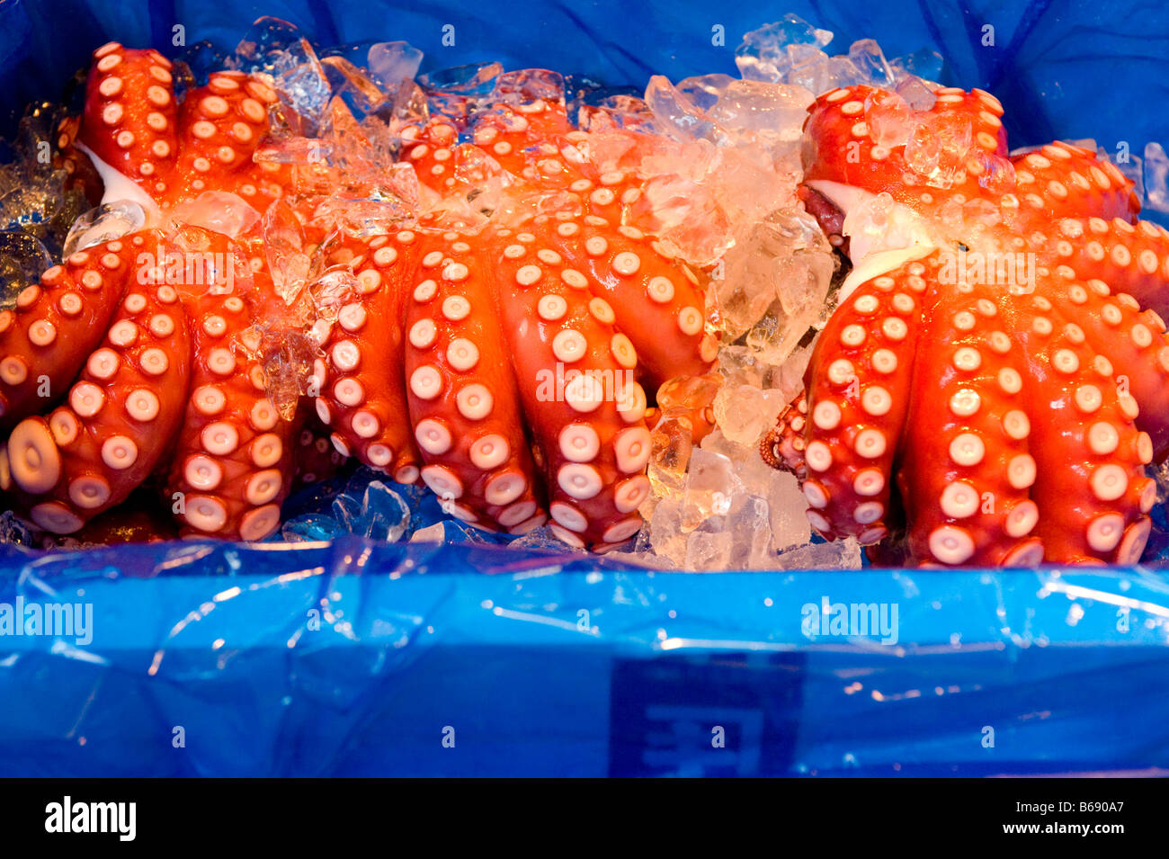 Japan octopus tentacles hi-res stock photography and images - Alamy