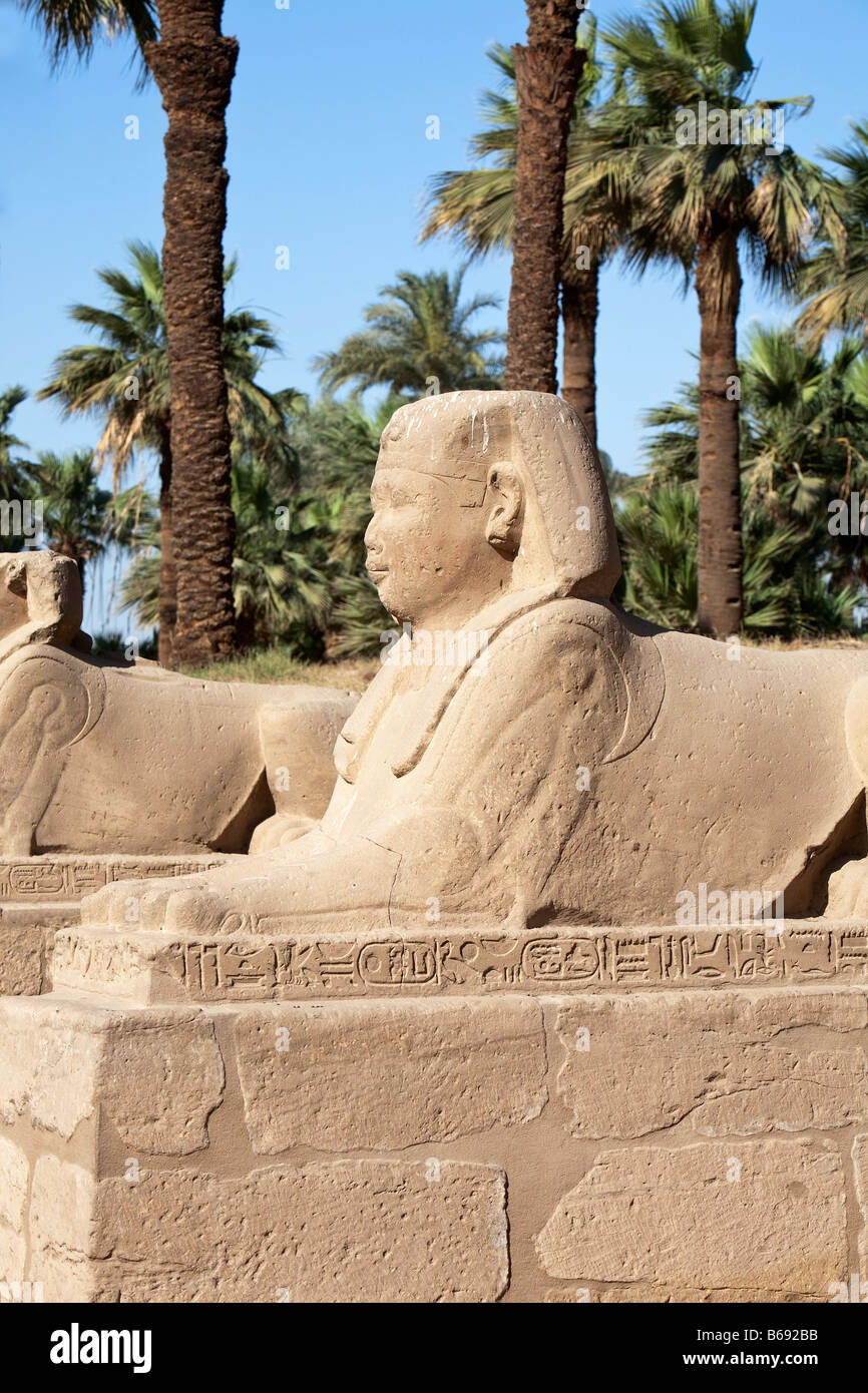 Sphinxes hi-res stock photography and images - Alamy