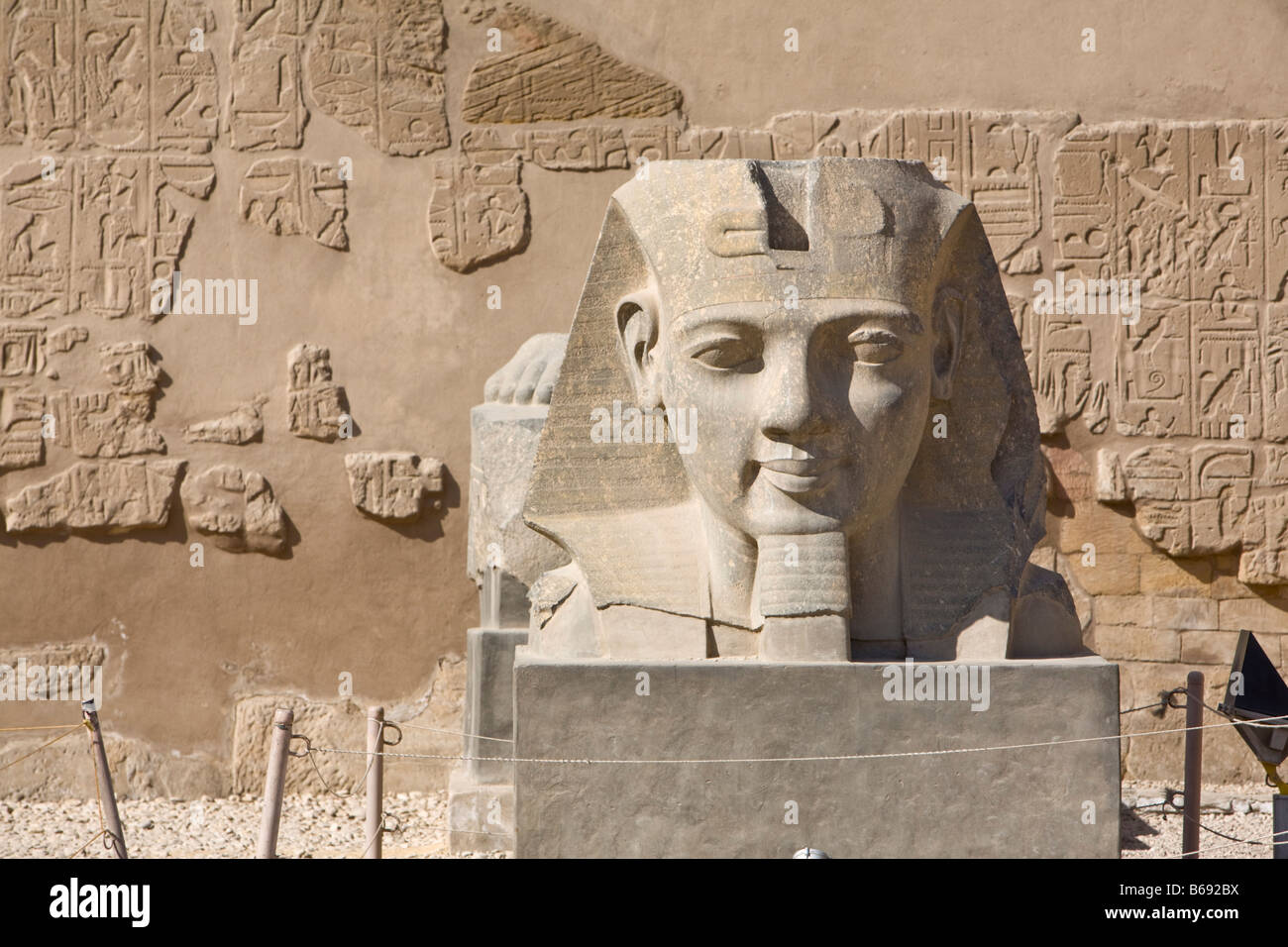 Head of Ramses II Stock Photo - Alamy
