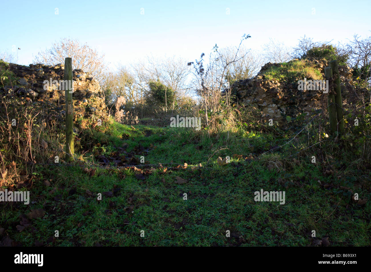 Remains of keep at Norman motte and bailey castle at Mileham, Norfolk ...