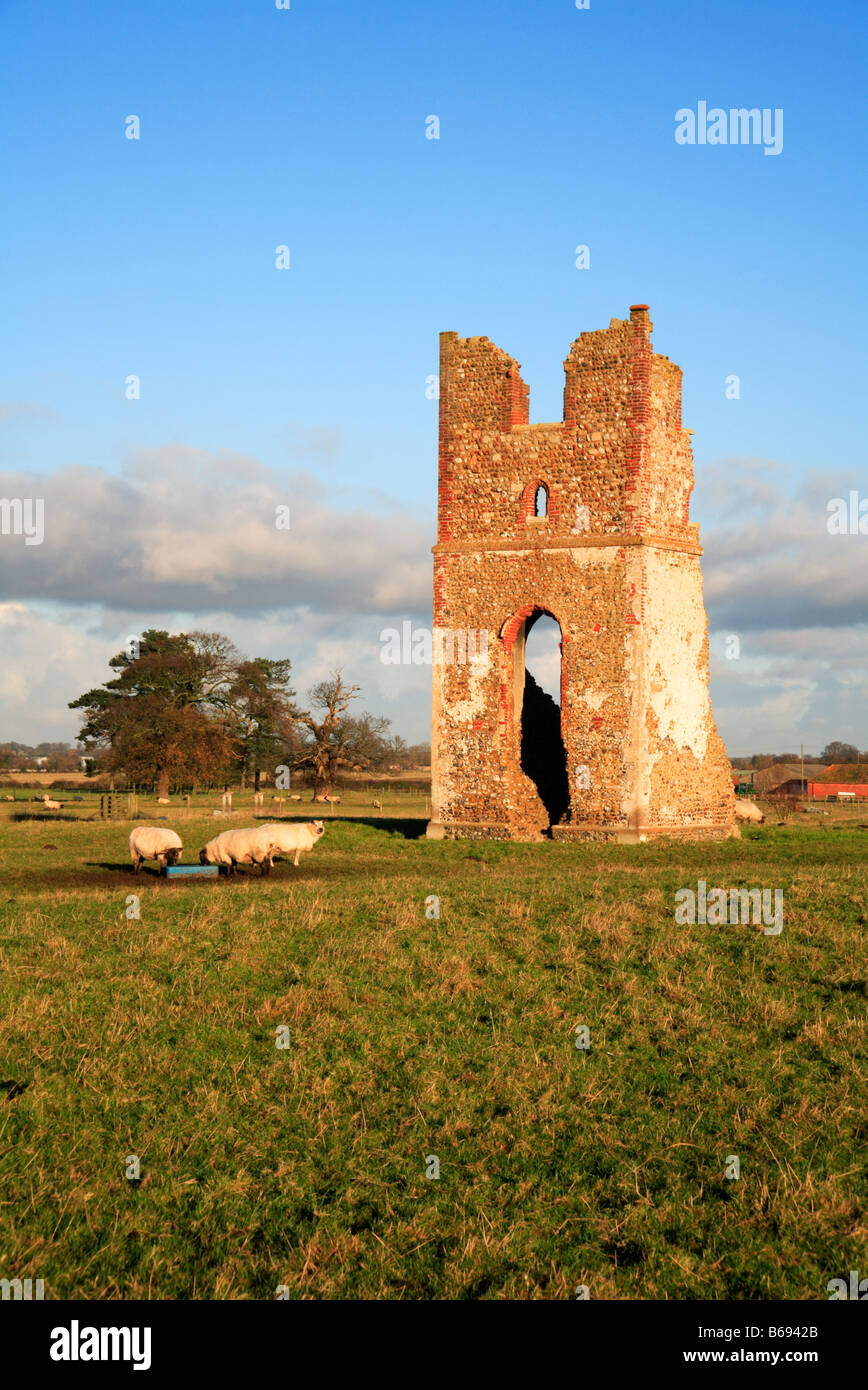 Ruined Church tower with sheep at site of deserted medieval village of ...