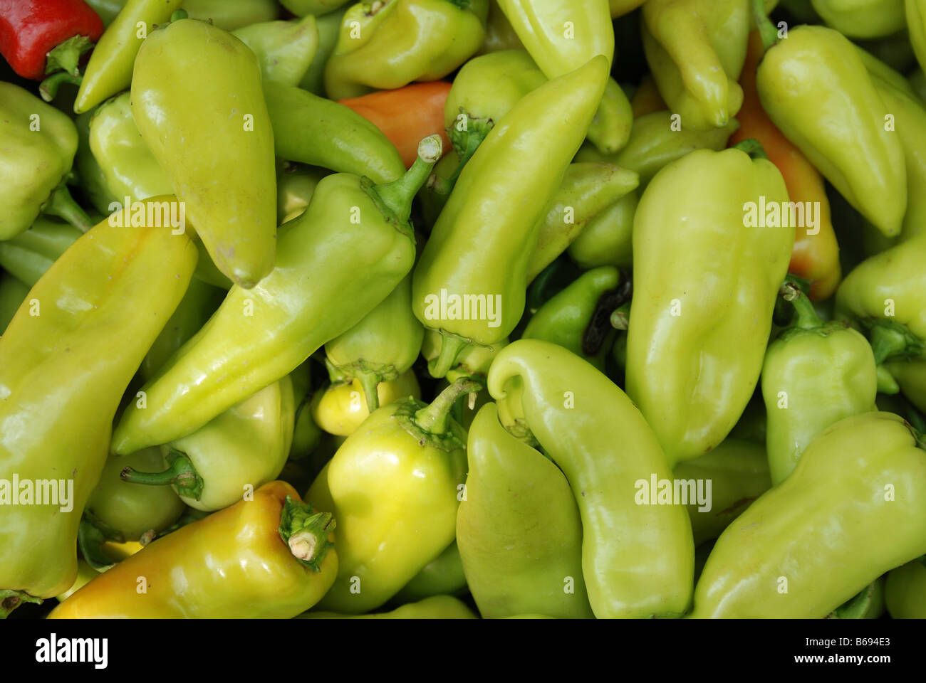 Green Chilli Peppers Romanian Market Sofia Bulgaria Stock Photo - Alamy