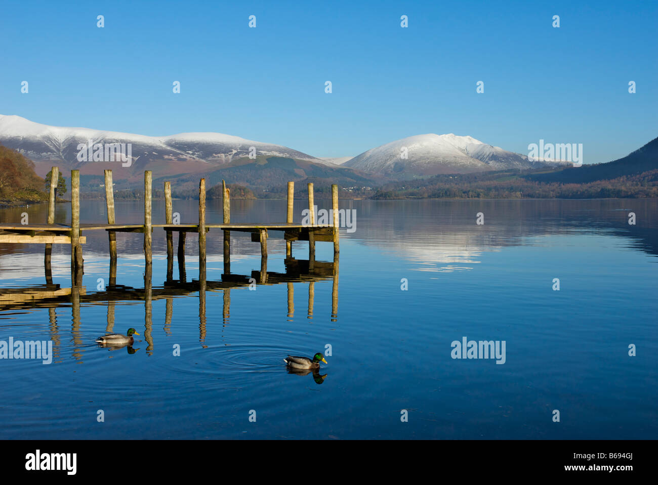 Derwent water swimming hi-res stock photography and images - Alamy