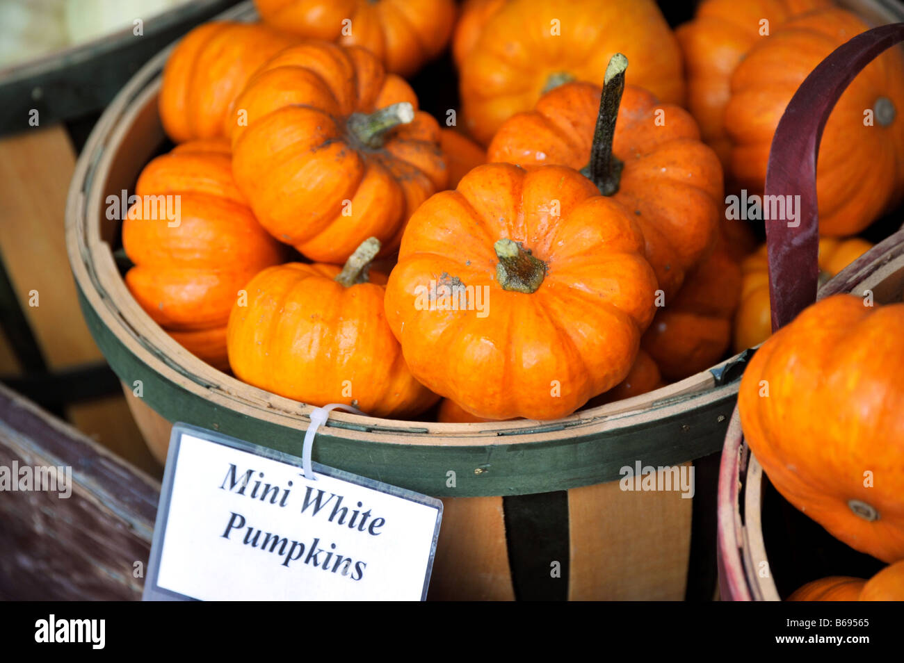 Piled pumpkins hi-res stock photography and images - Alamy