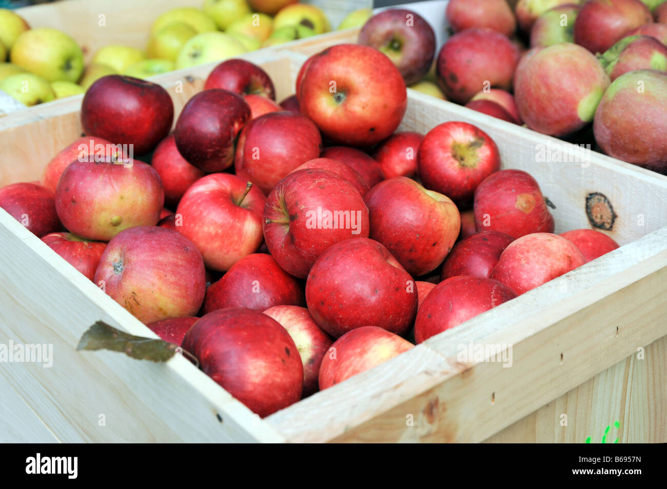 Organic apples displayed at an outdoor urban farmer s market Stock ...