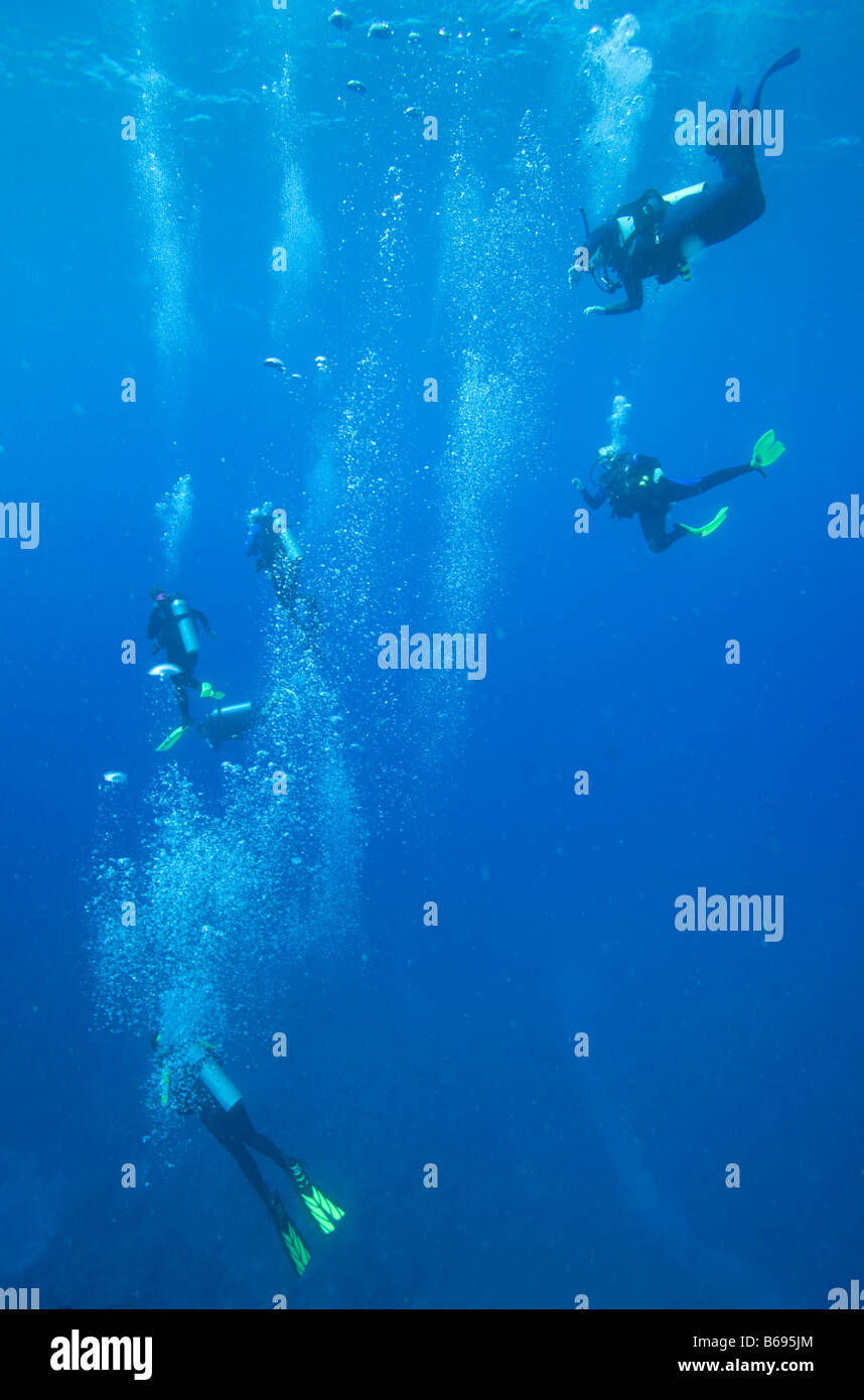 Cayman Islands Grand Cayman Island Scuba divers swimming in Caribbean ...