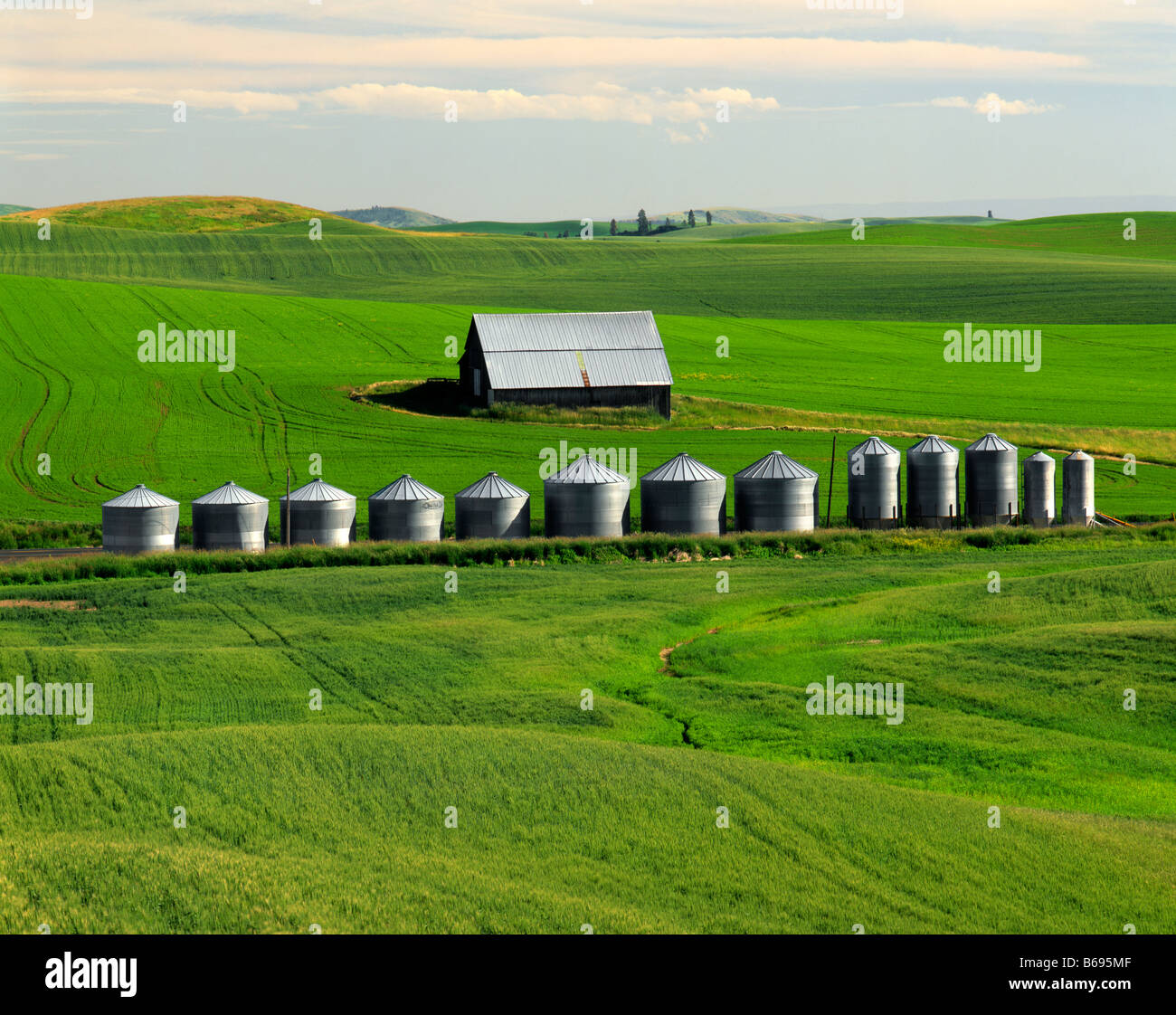 WASHINGTON - Barn and grain silos in a farm field in the fertile ...