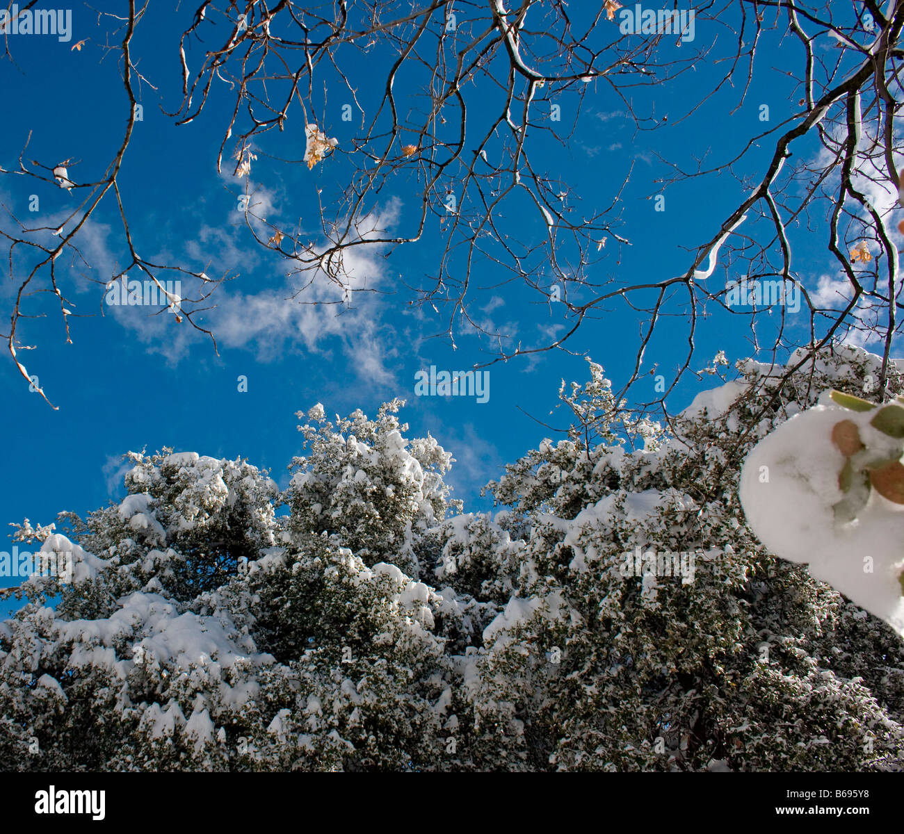 Idyllwild, California, Snow High Resolution Stock Photography and ...