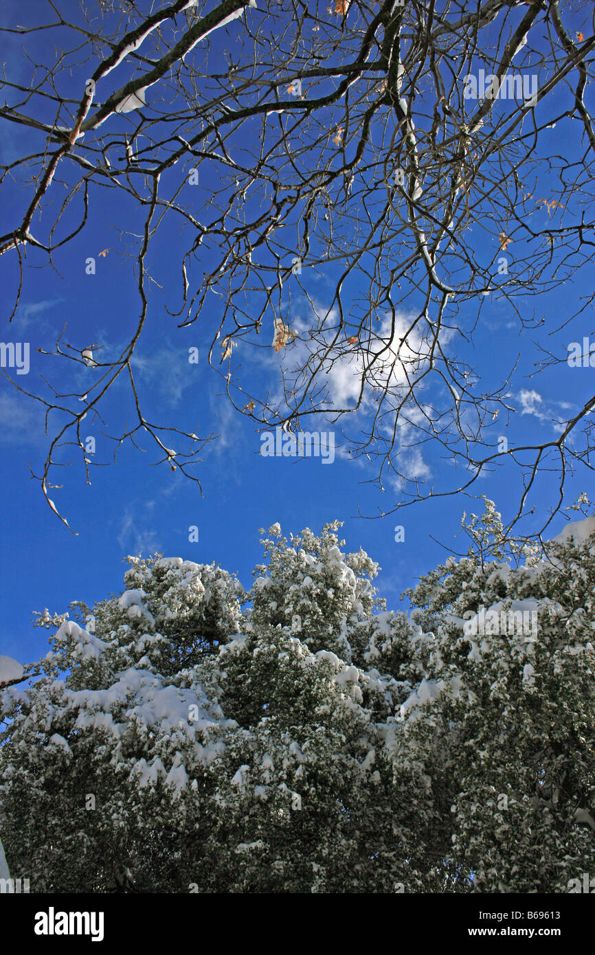 Early snow fall in Idyllwild California San Jacinto Mountain range ...