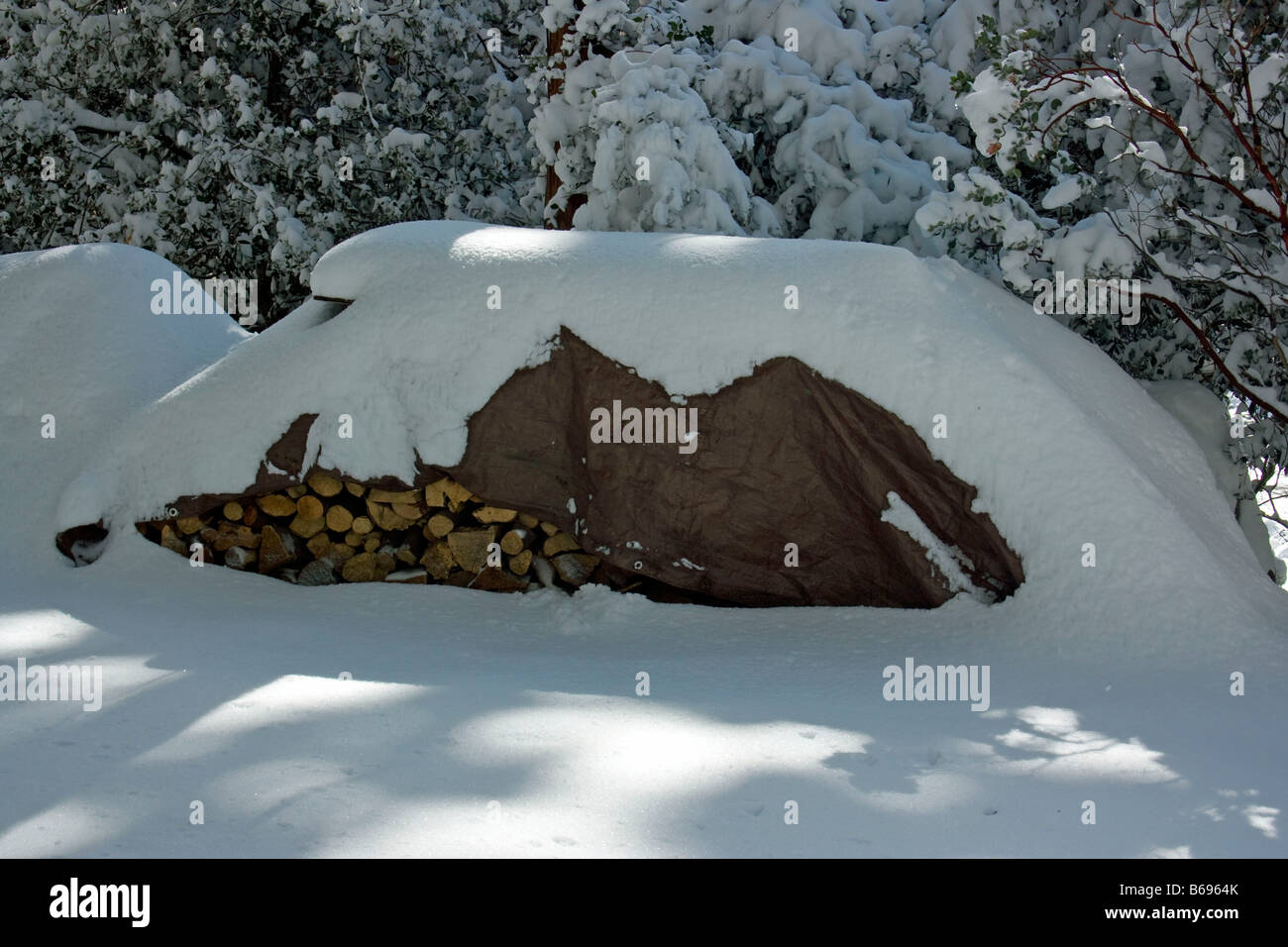 Idyllwild, California, Snow High Resolution Stock Photography and ...