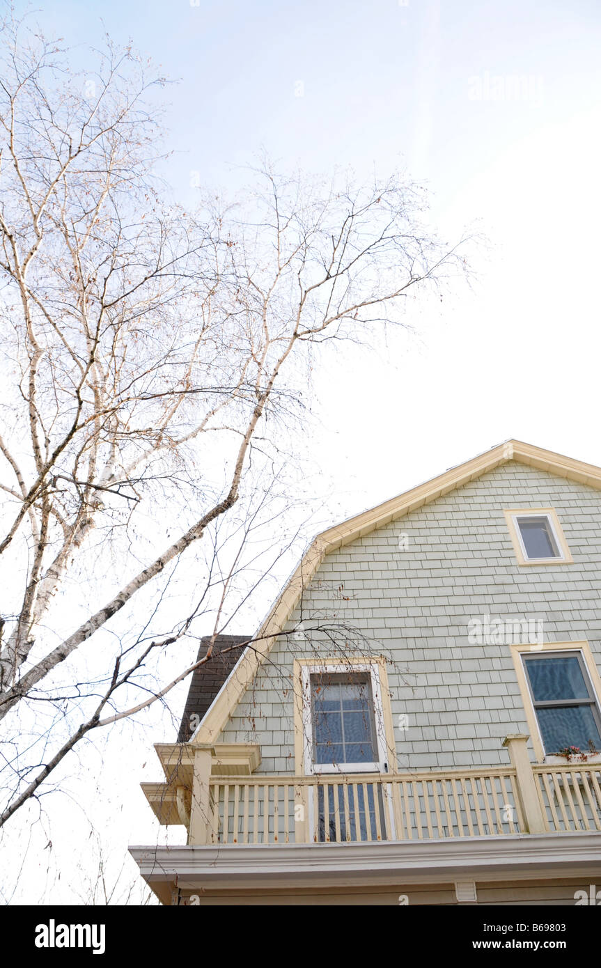 Blue sky tree house hi-res stock photography and images - Alamy