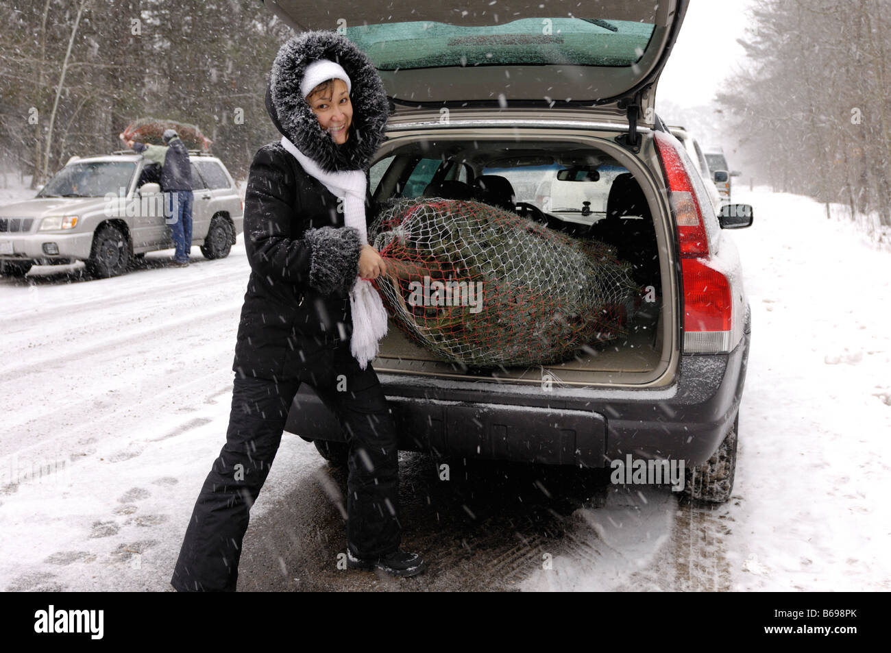 Woman loading a Christmas tree into a car Stock Photo - Alamy