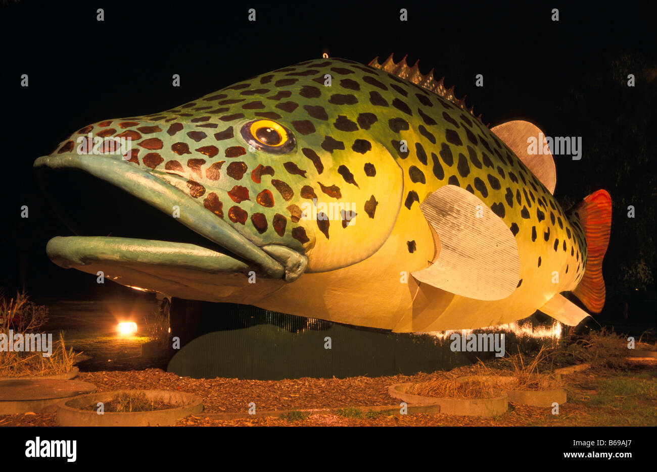 Giant Murray Cod structure, Swan Hill, Australia Stock Photo - Alamy
