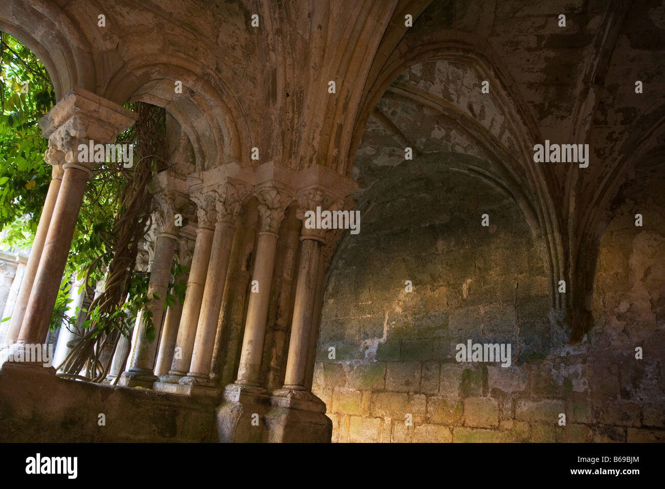 Languedoc in southern france hi-res stock photography and images - Alamy