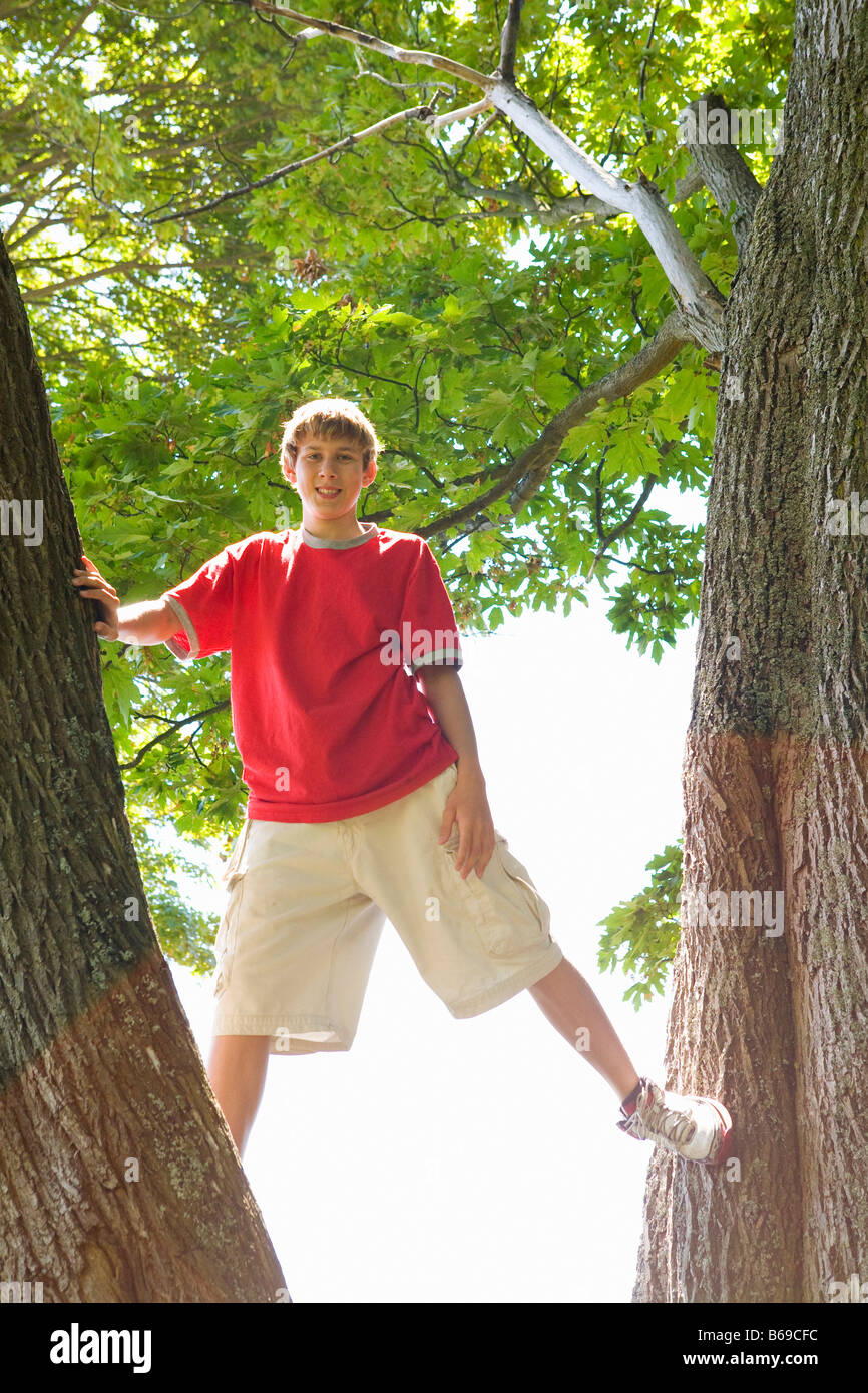 Boy standing on a tree Stock Photo - Alamy