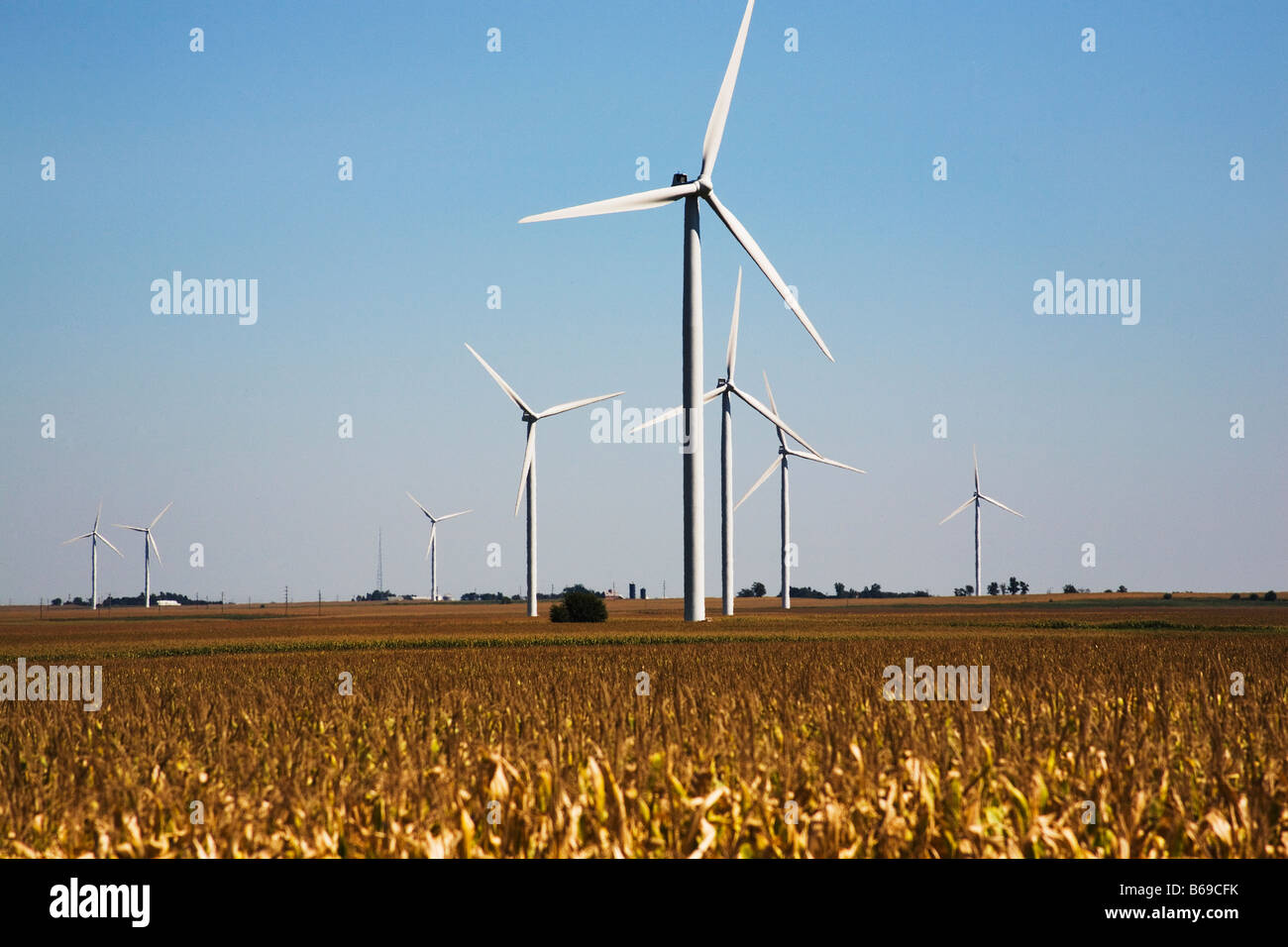 USA, Illinois, wind turbines in corn fields Stock Photo - Alamy