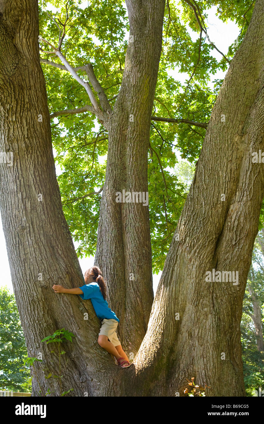 Girl hugging a tree Stock Photo - Alamy