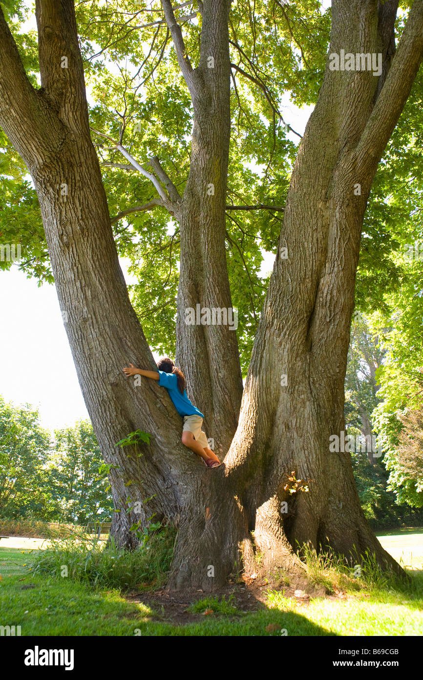 Girl hugging a tree Stock Photo - Alamy