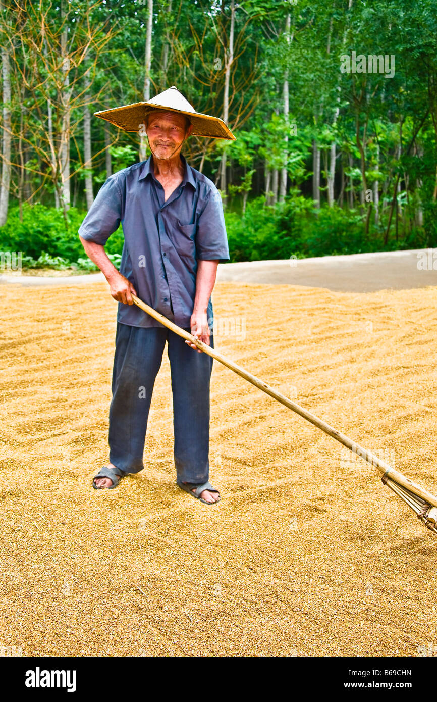 Agriculture china chinese drying hi-res stock photography and images ...