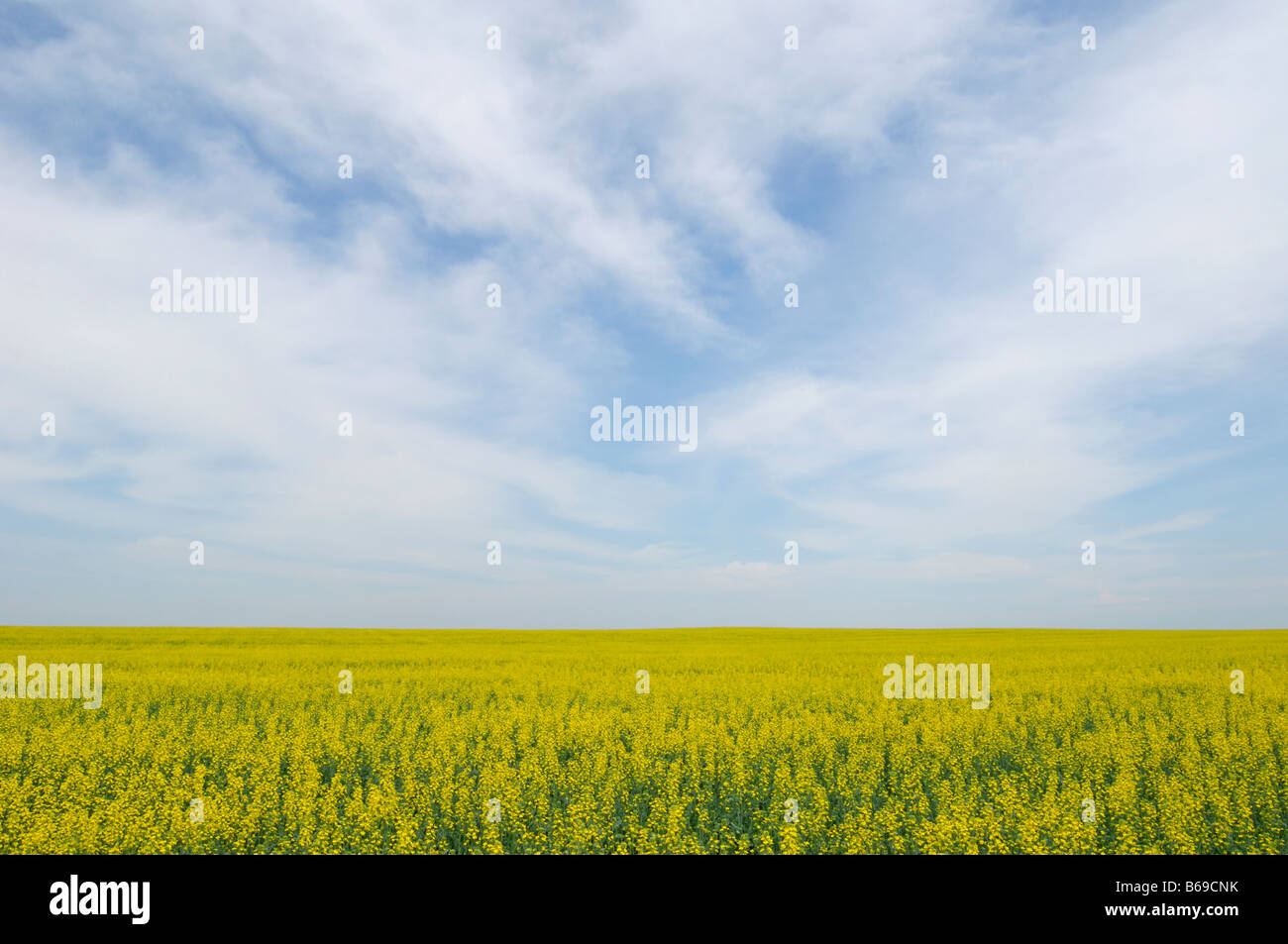 Two hills alberta hi-res stock photography and images - Alamy