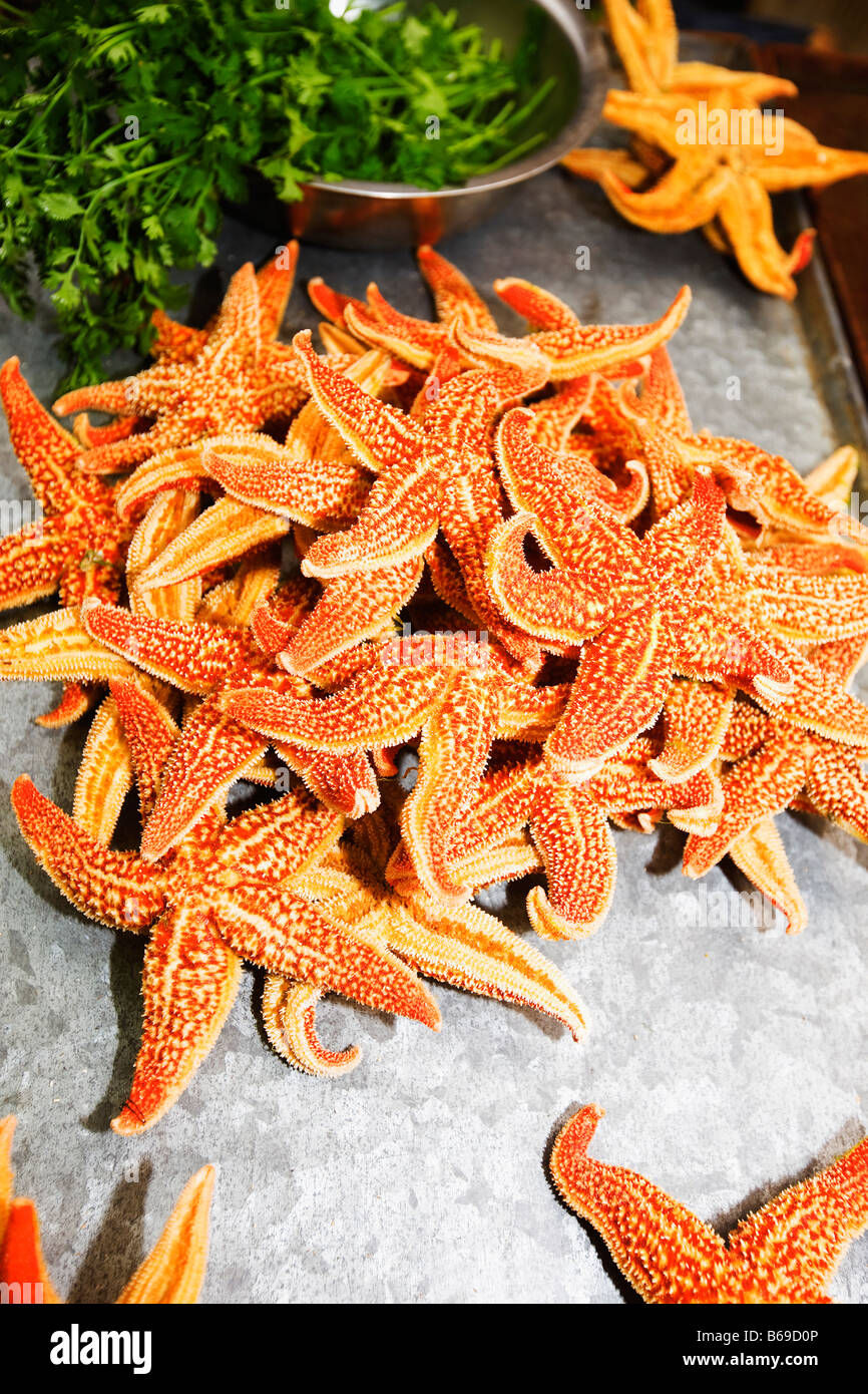 Cooked Starfish